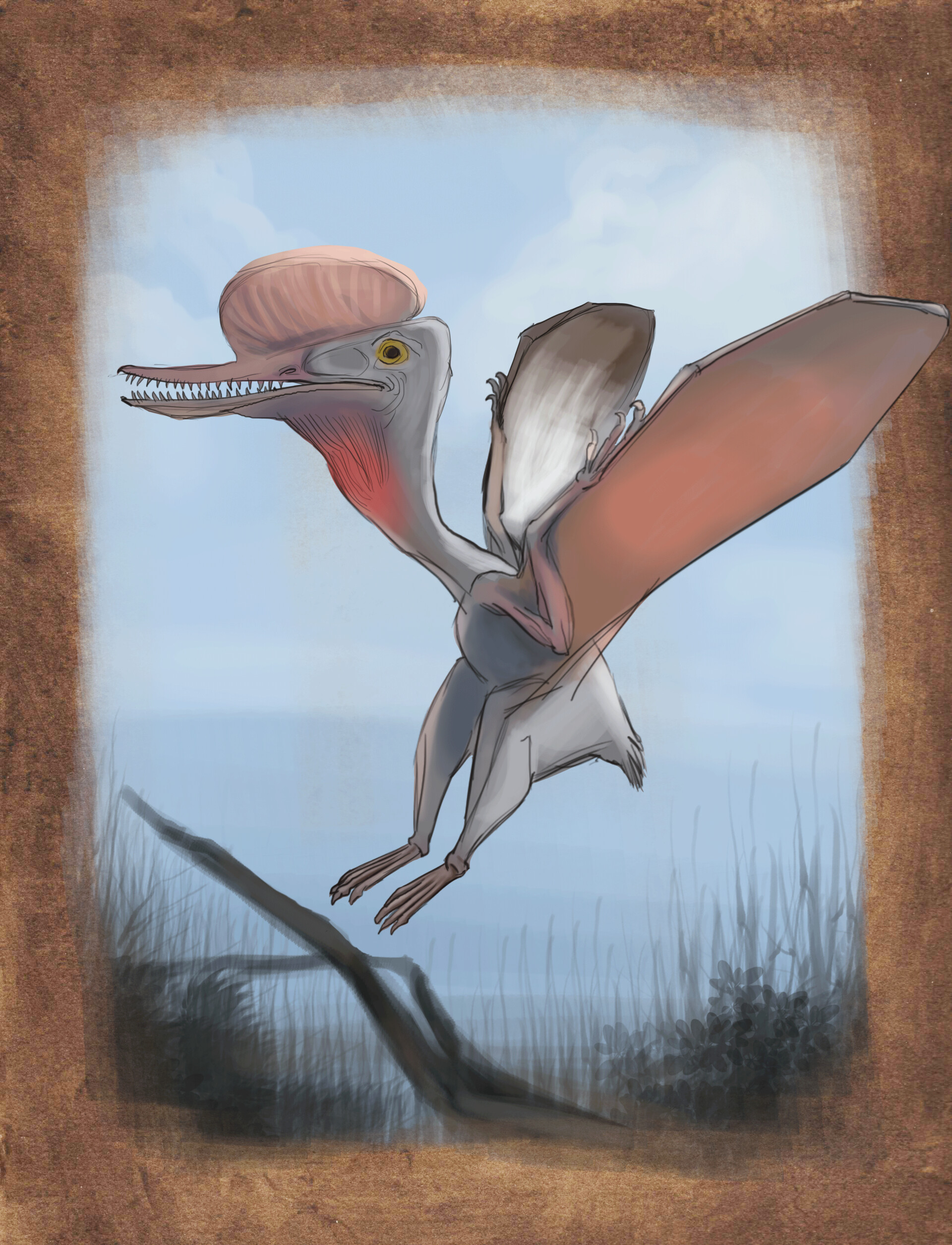 ArtStation - Normannognathus wellnhoferi