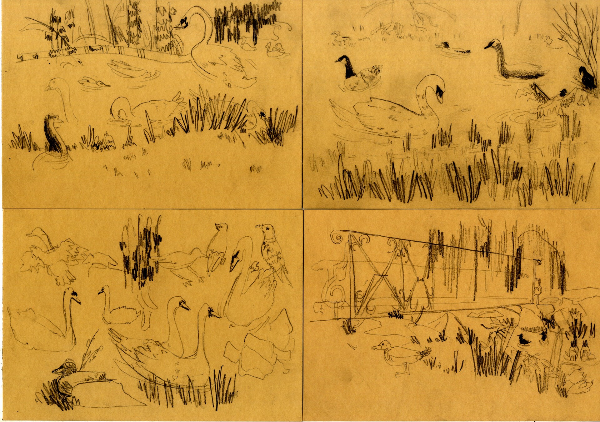 ArtStation - Série de croquis extérieurs- Oiseaux