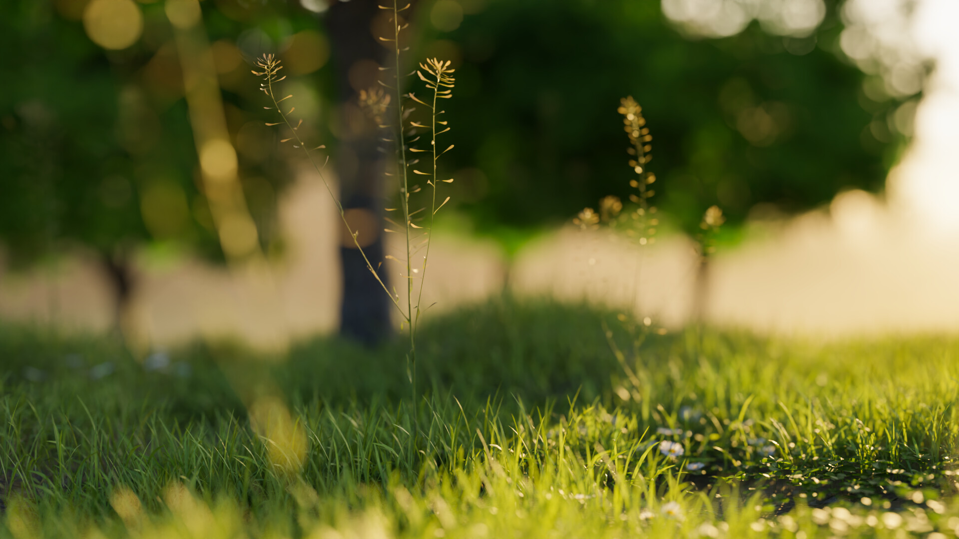 ArtStation - Grass close-up