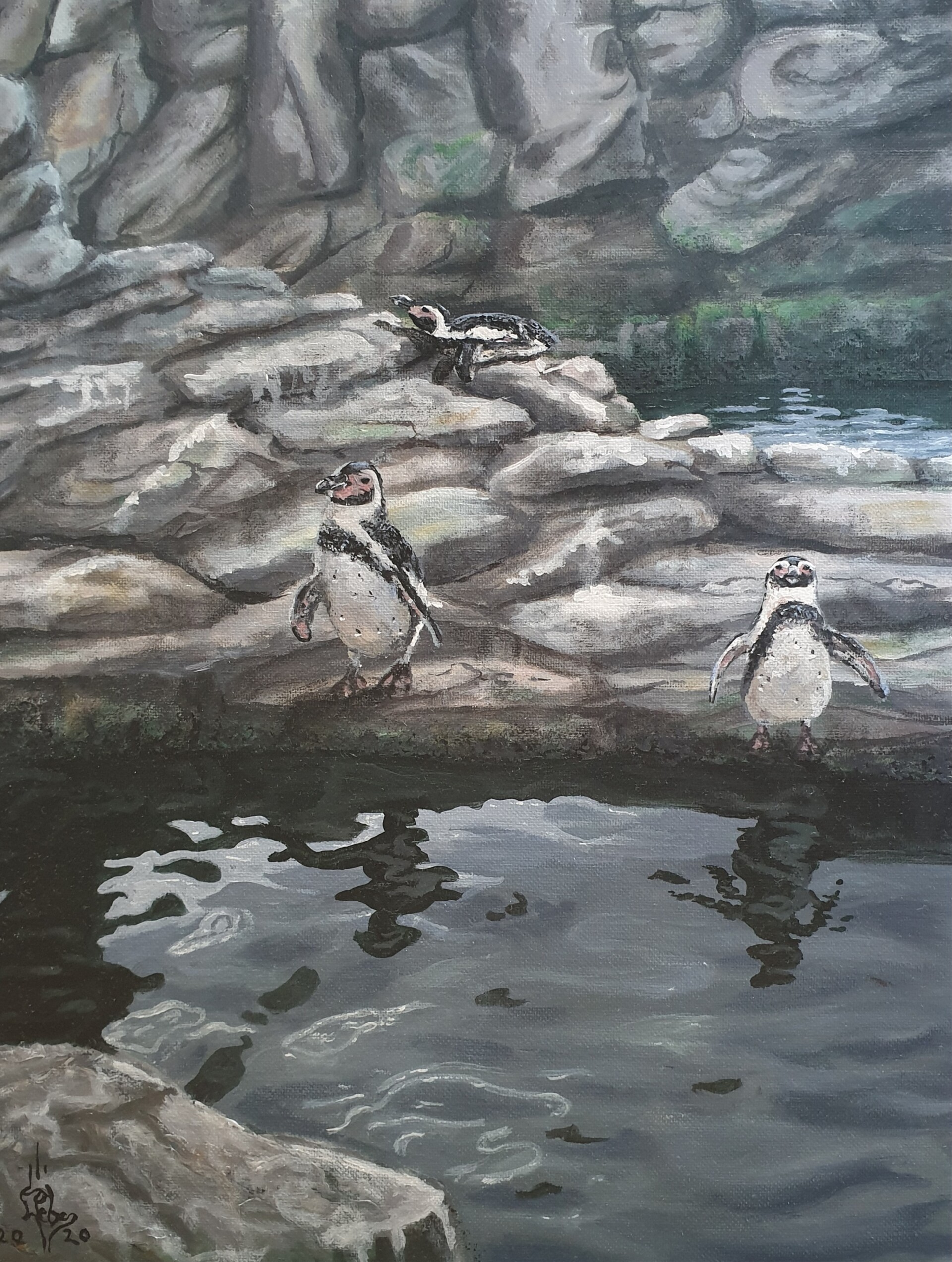 Good Dwight Stirling - Penguins in Hamburger Zoo