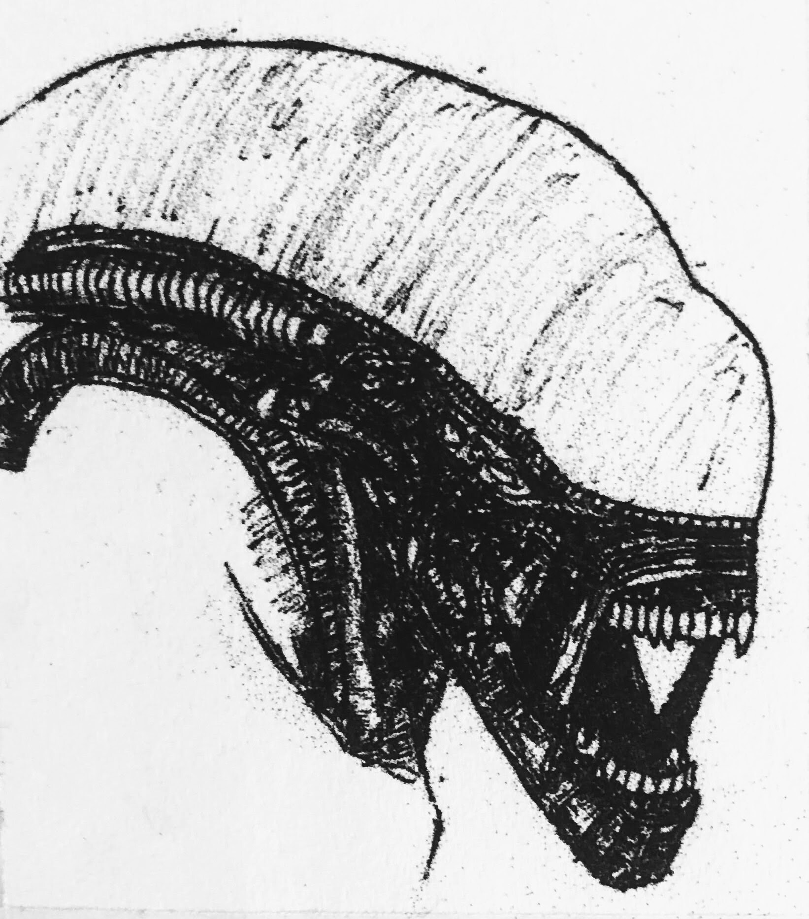 ArtStation - Alien design