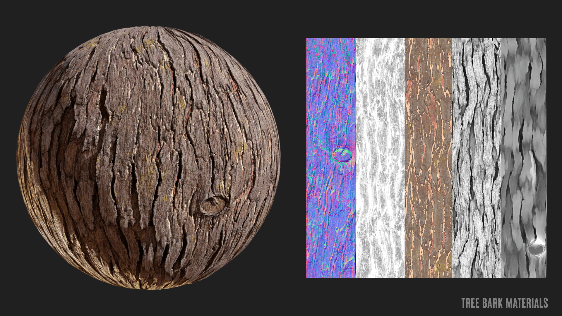 Allan Magagnosc - Tree Bark Material Study