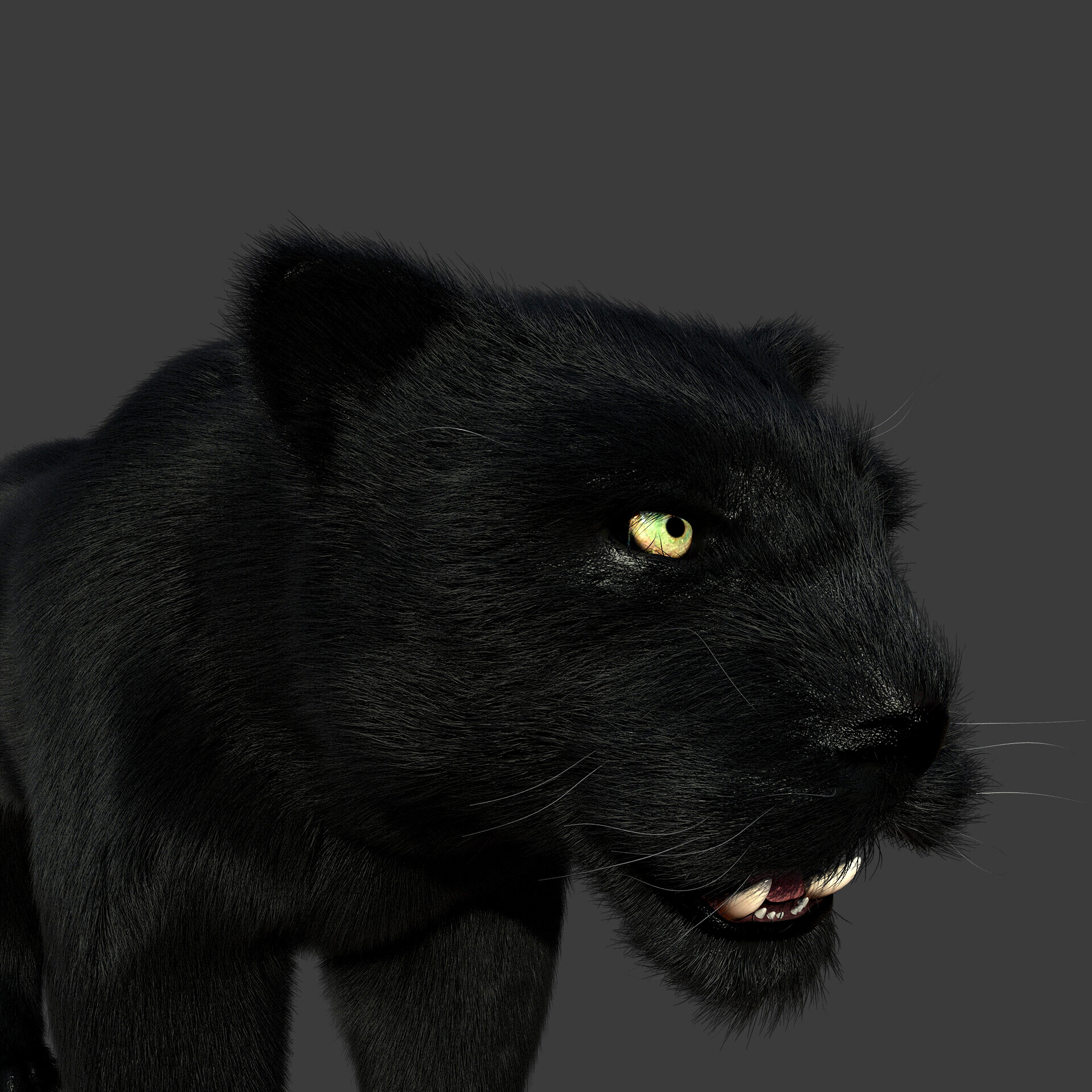 ArtStation - Banther