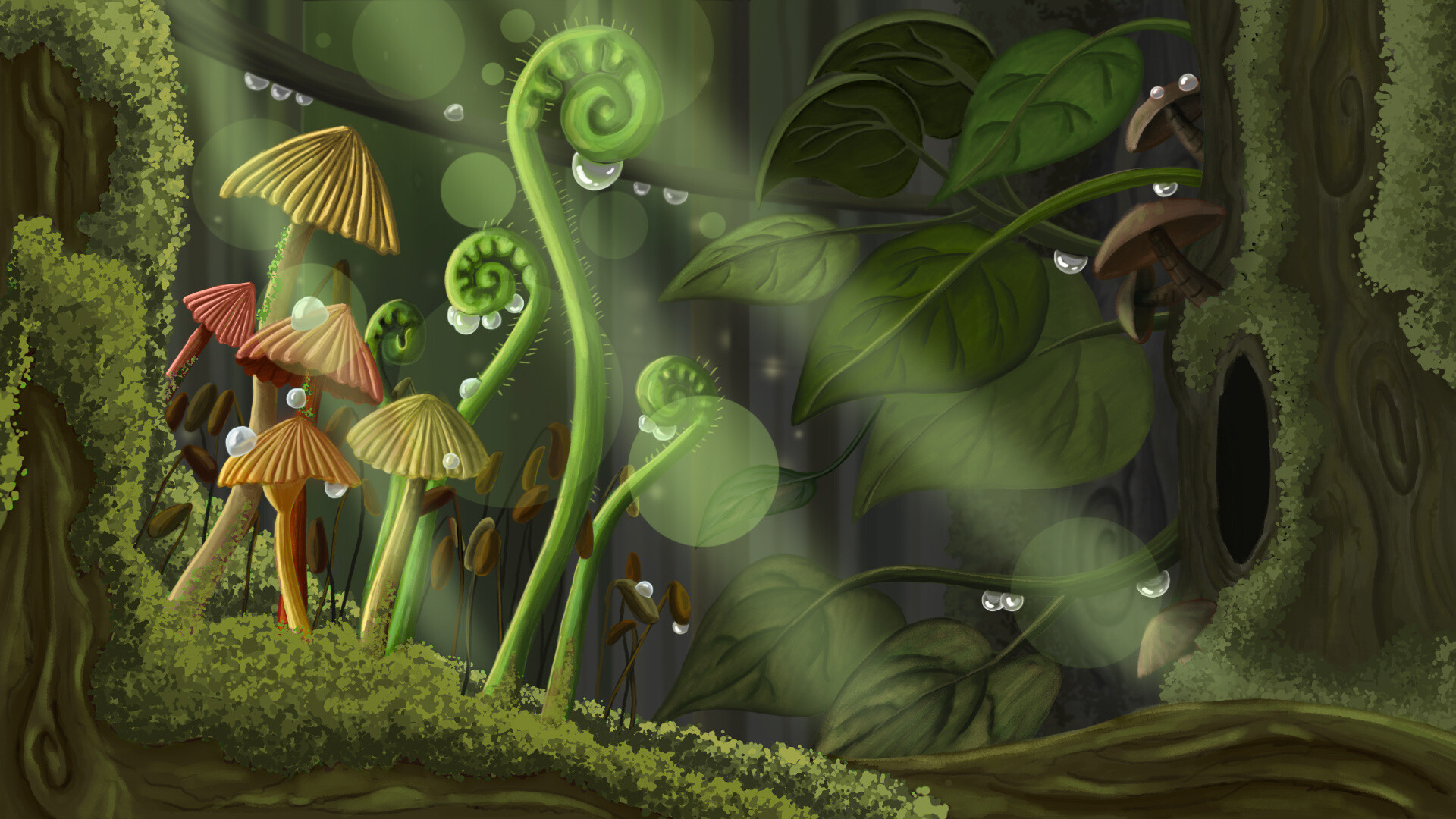 once upon a picture rainforest