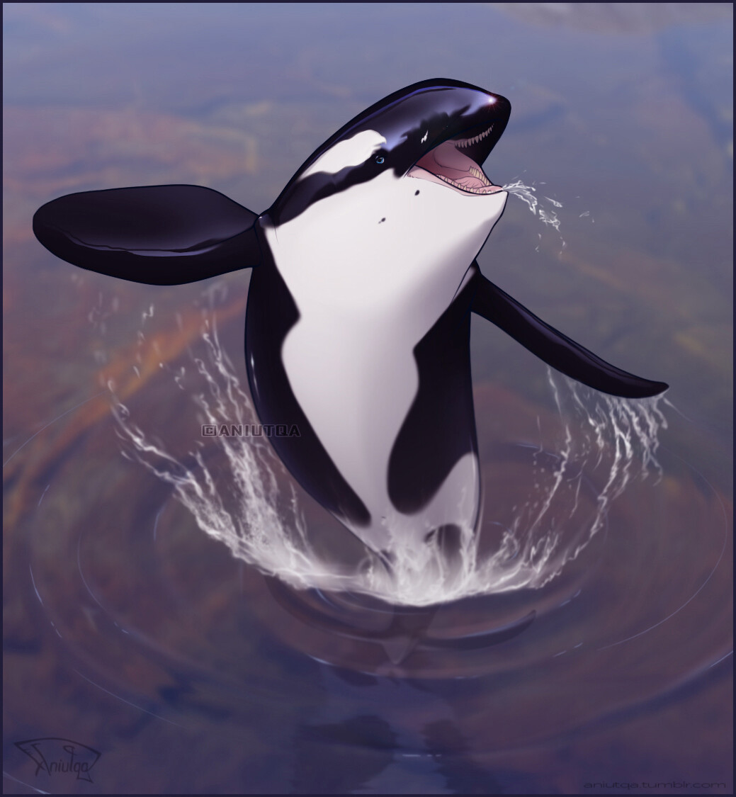 ArtStation - Orca (art trade)