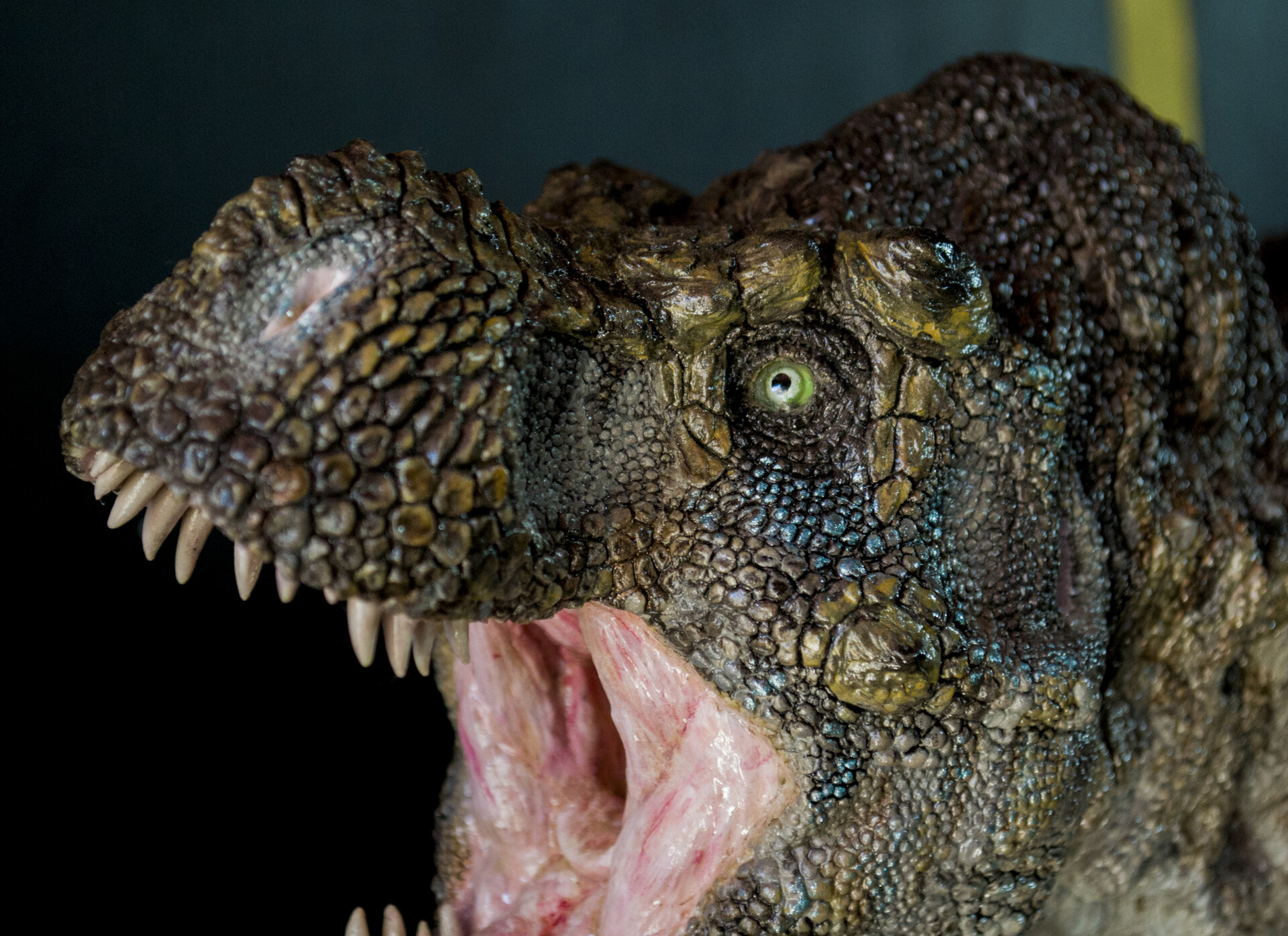 Daniel Isaac - Tyrannosaurus rex