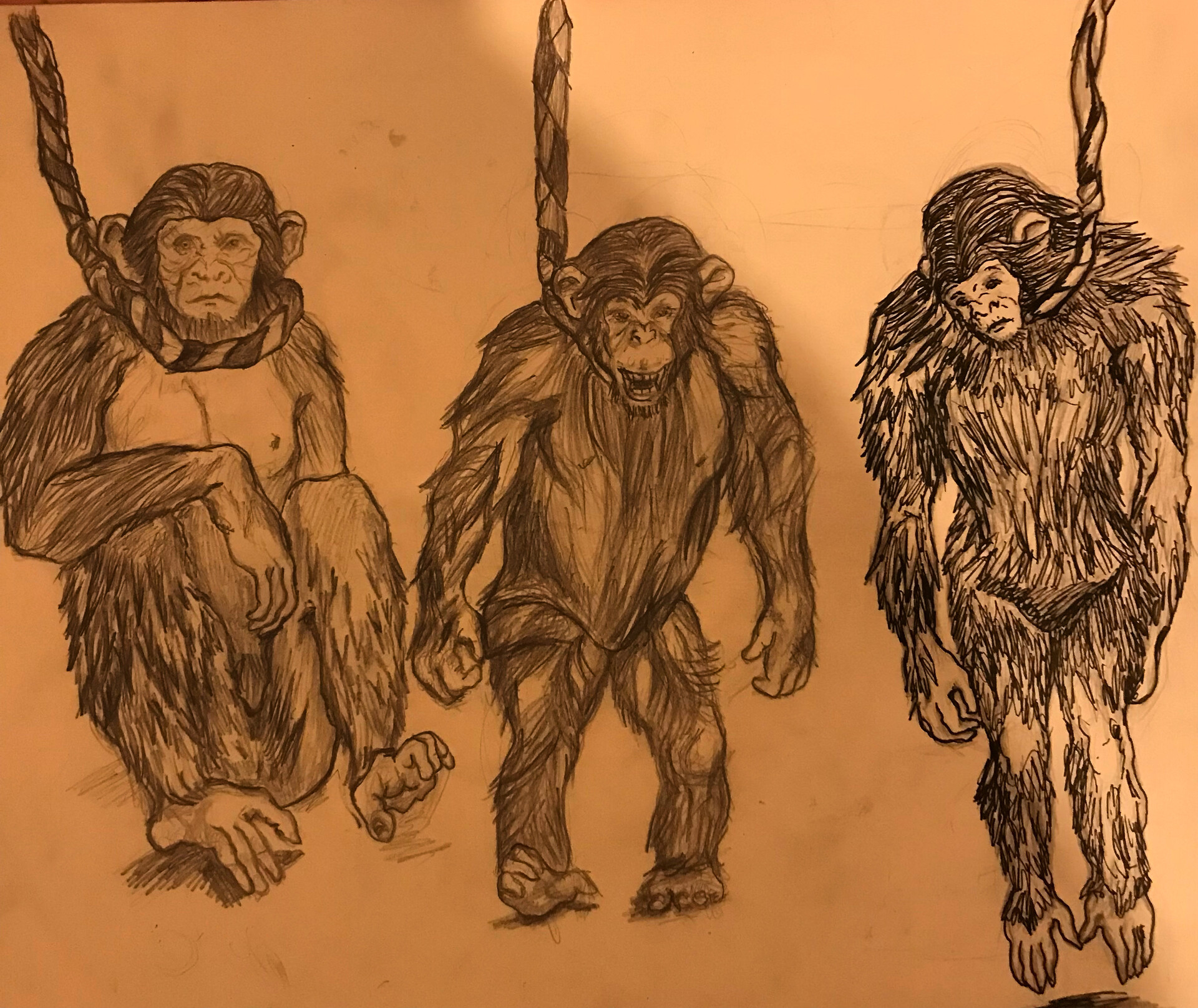 ArtStation - I found the execution of the monkeys killed in the Ottoman ...