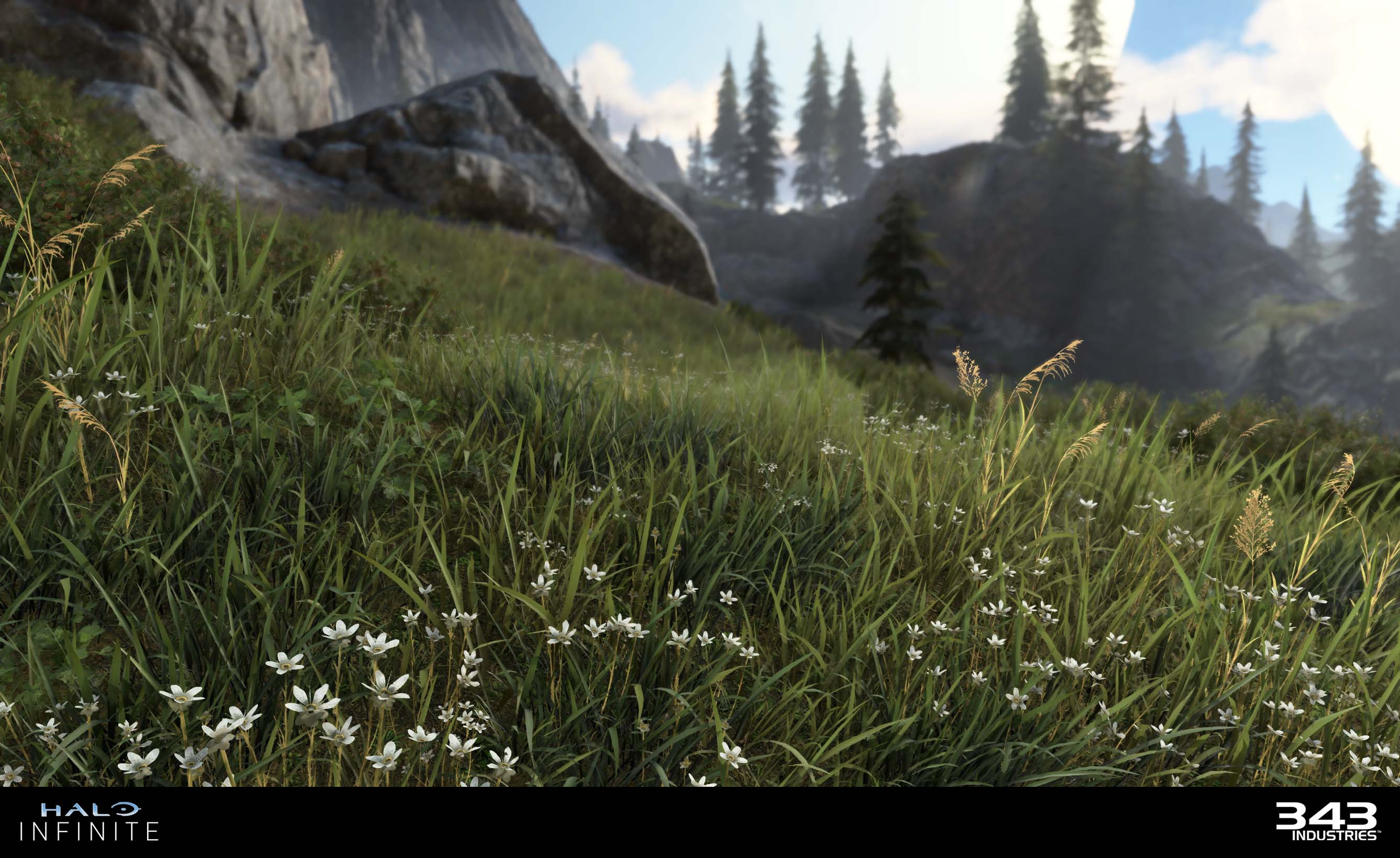 Liz Kirby - Halo Infinite Grass