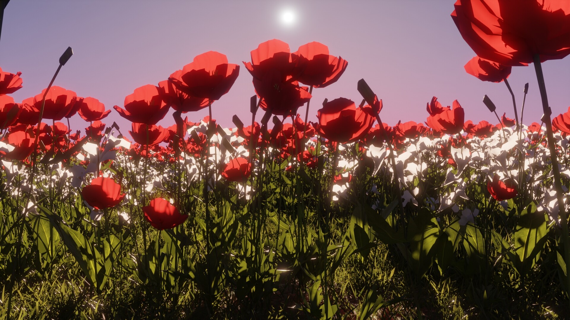 ArtStation - Poppy Field
