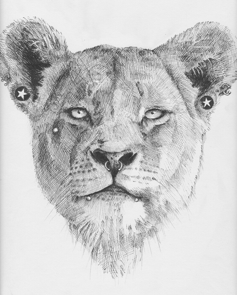 ArtStation - Lioness