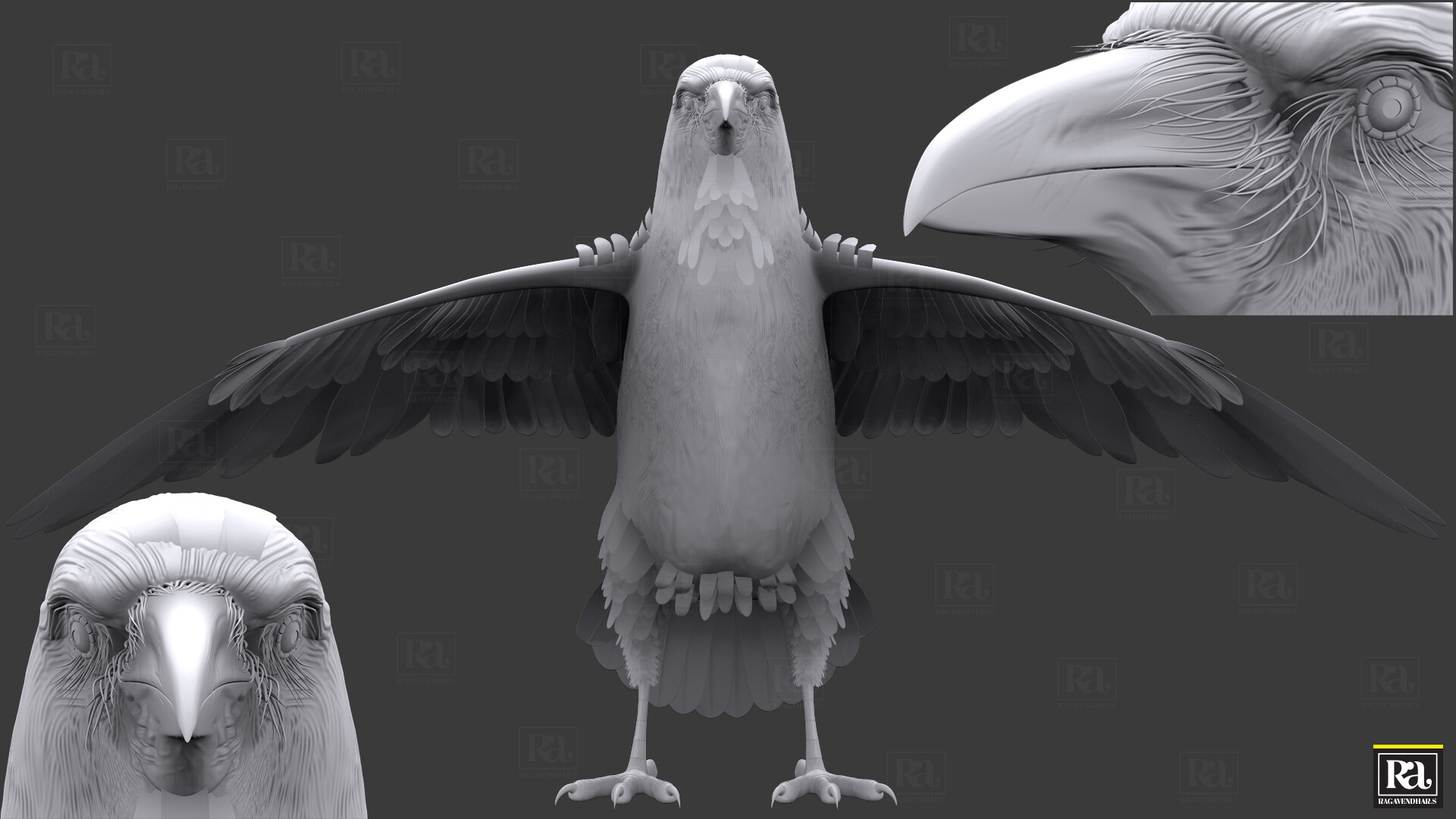 ArtStation - 3D_Bird_(Maya & Zbrush)