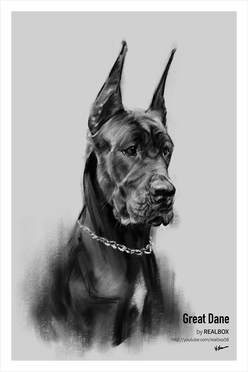 ArtStation - Great Dane