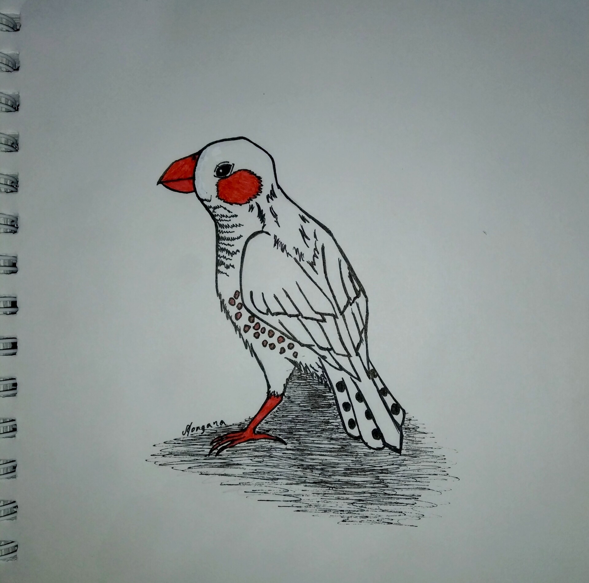 ArtStation - Javasparrow