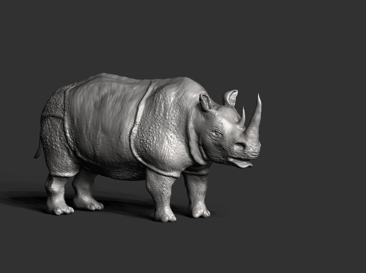 suhas vb - Rhino