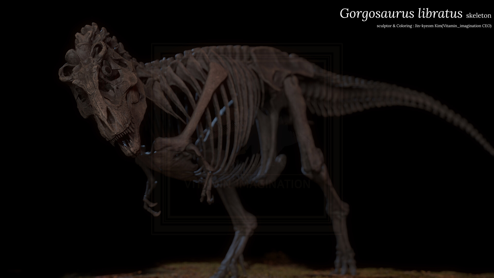 Vitamin Imagination - skeleton diagram of Gorgosaurus libratus