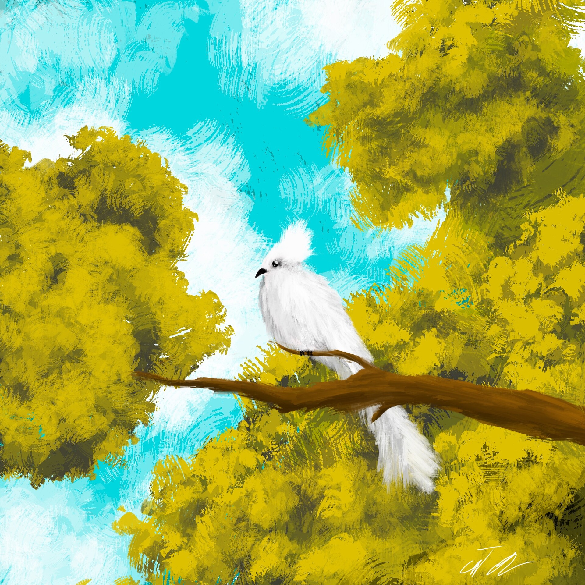 ArtStation - Summer birdie