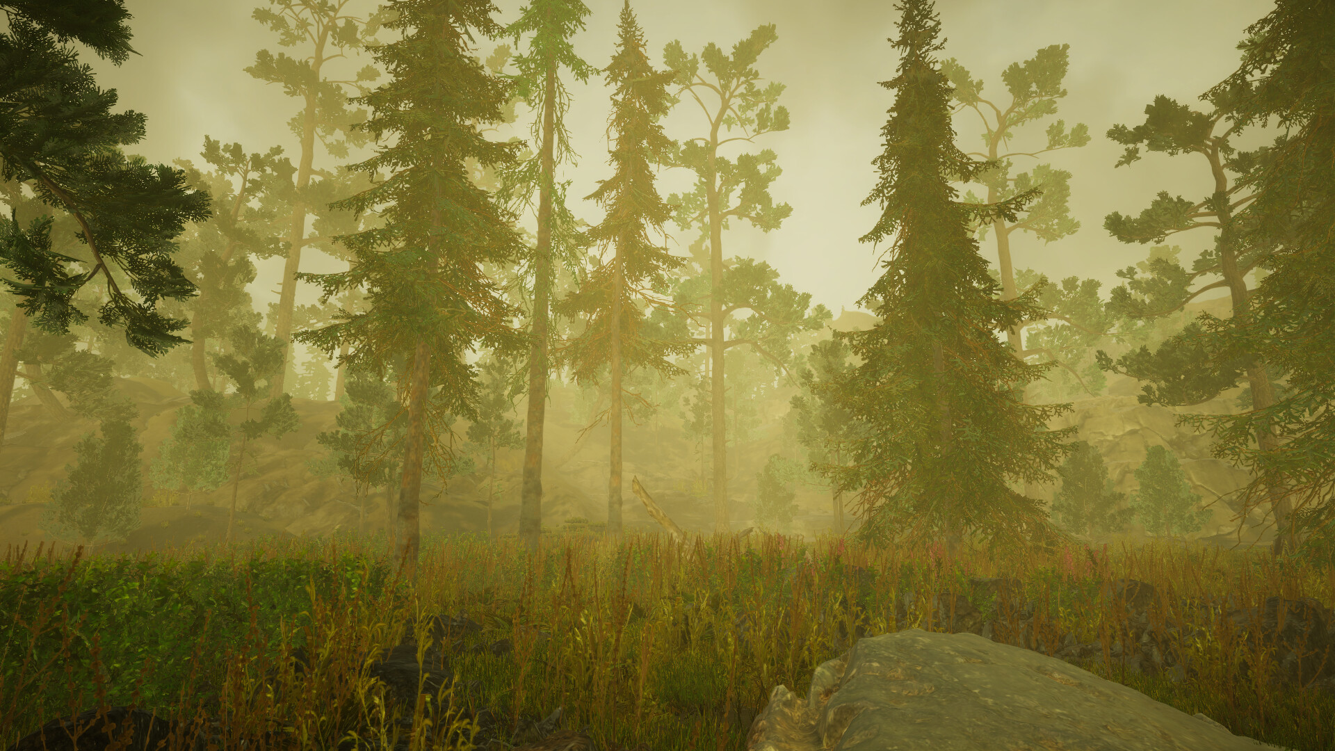 ArtStation - Forest HDRP