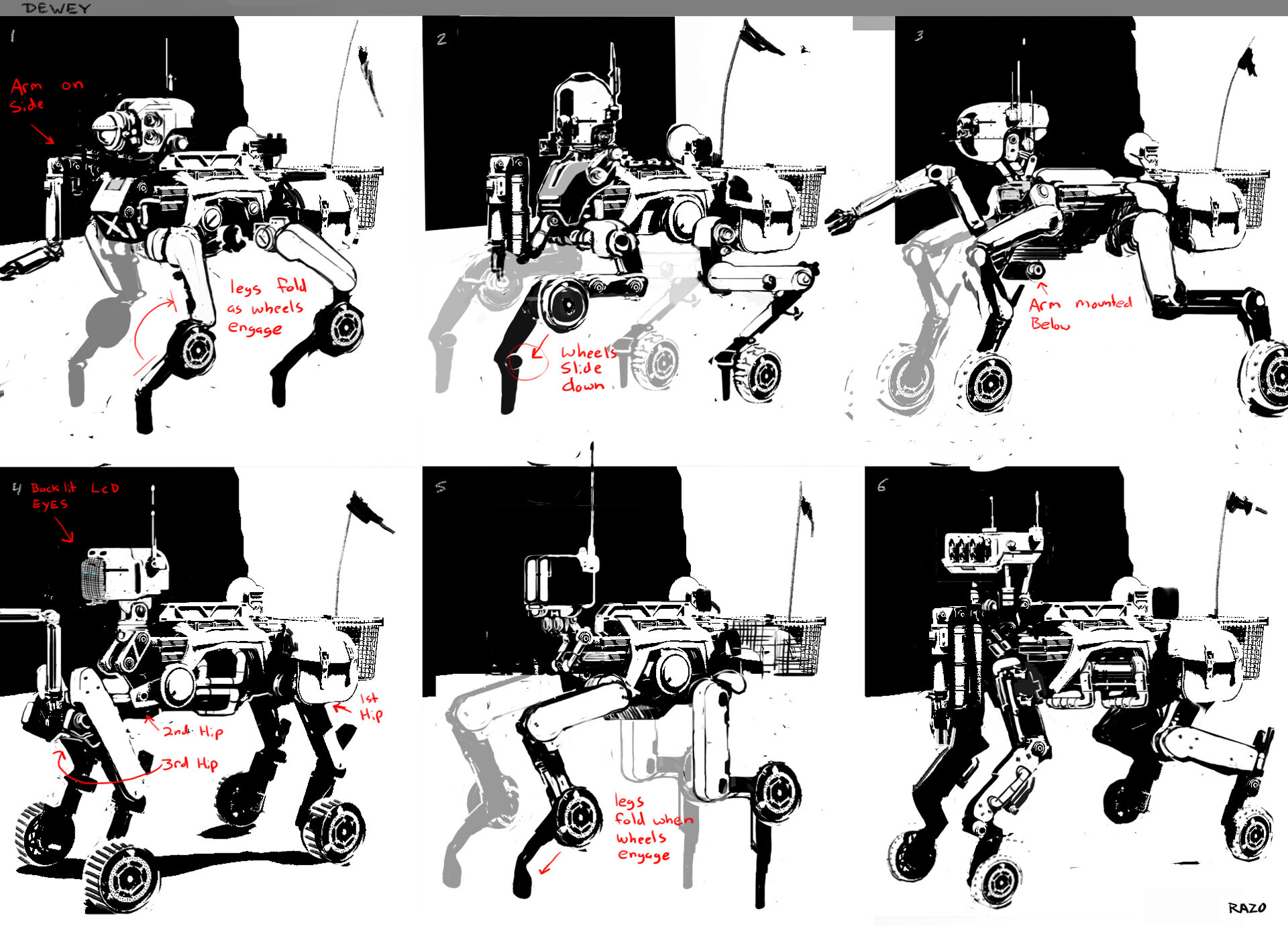 patrick razo (nino) - DEWEY, finch