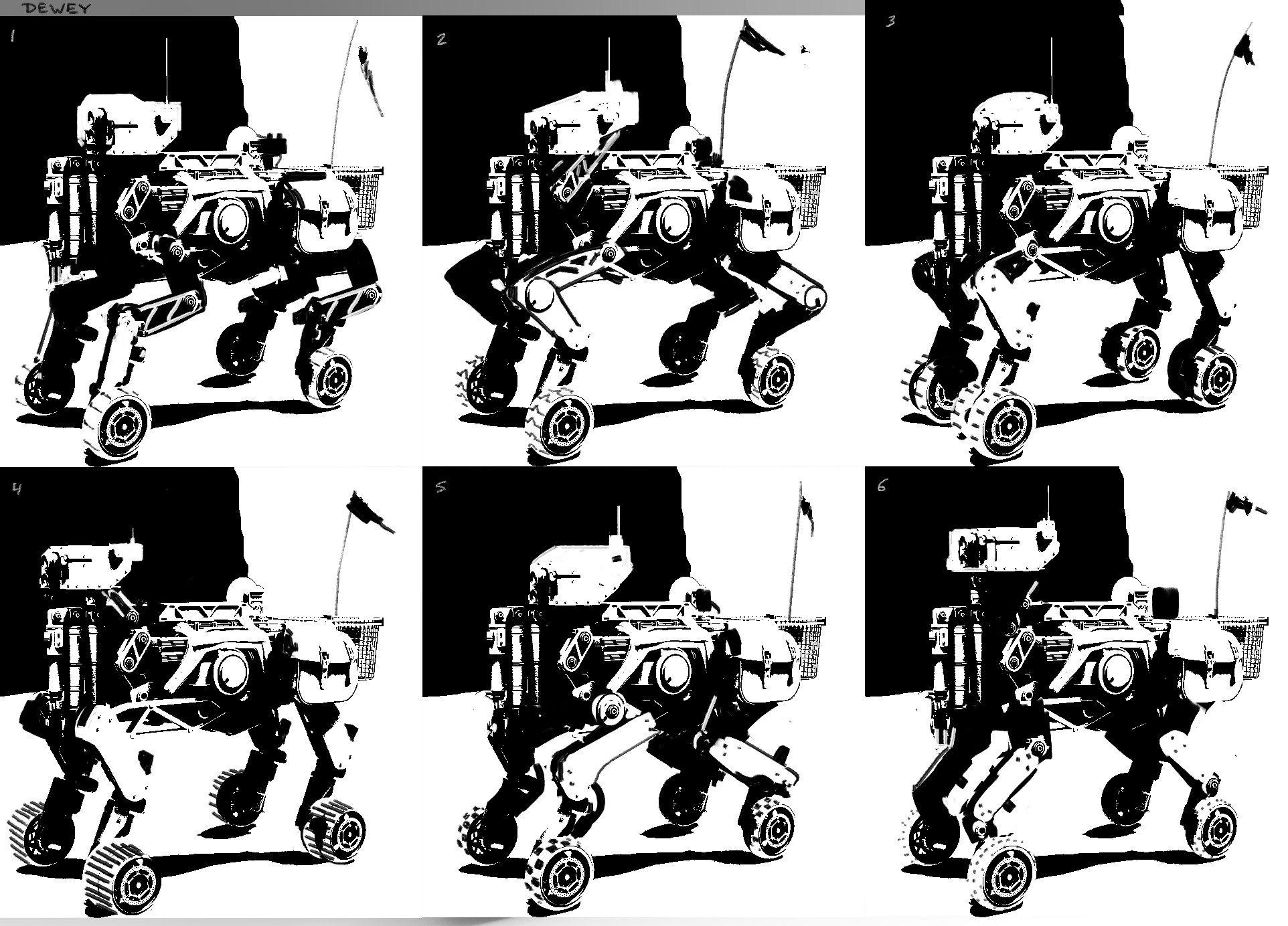 patrick razo (nino) - DEWEY, finch