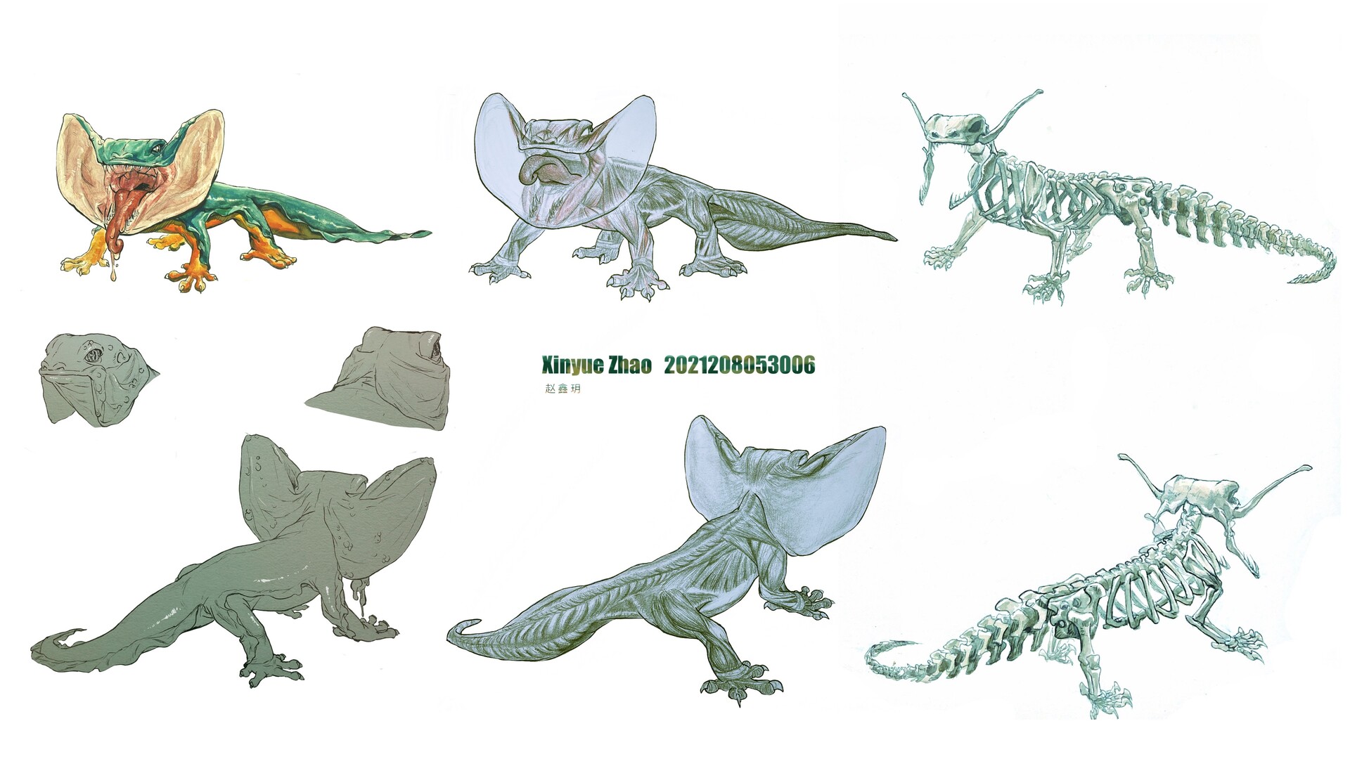 :D - Anatomy for artist course works by 2021 digital，Animation and ...