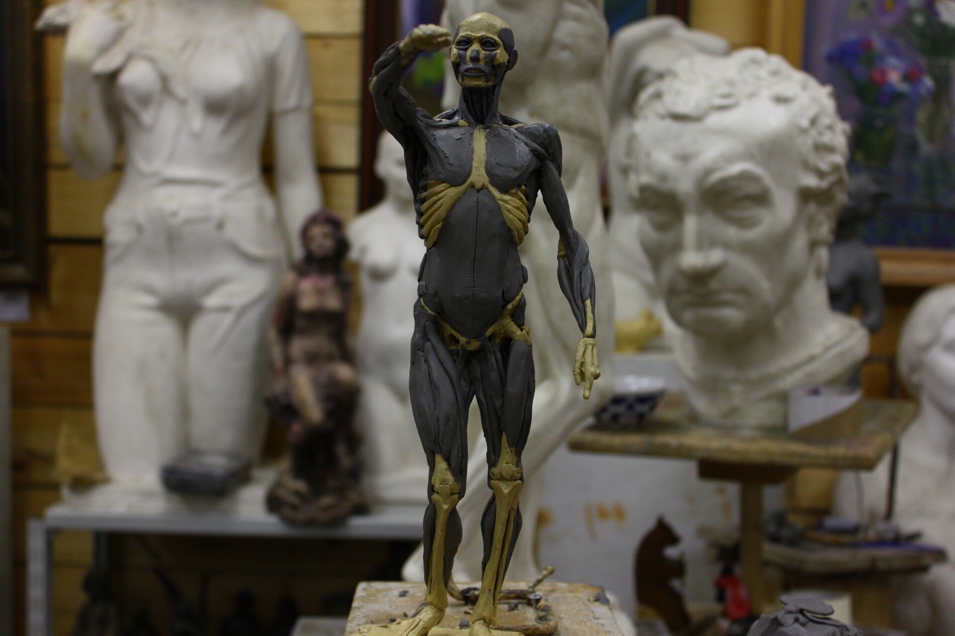 Ruslan Sokolov - Anatomy study. Part two: 50 shades of gray muscles