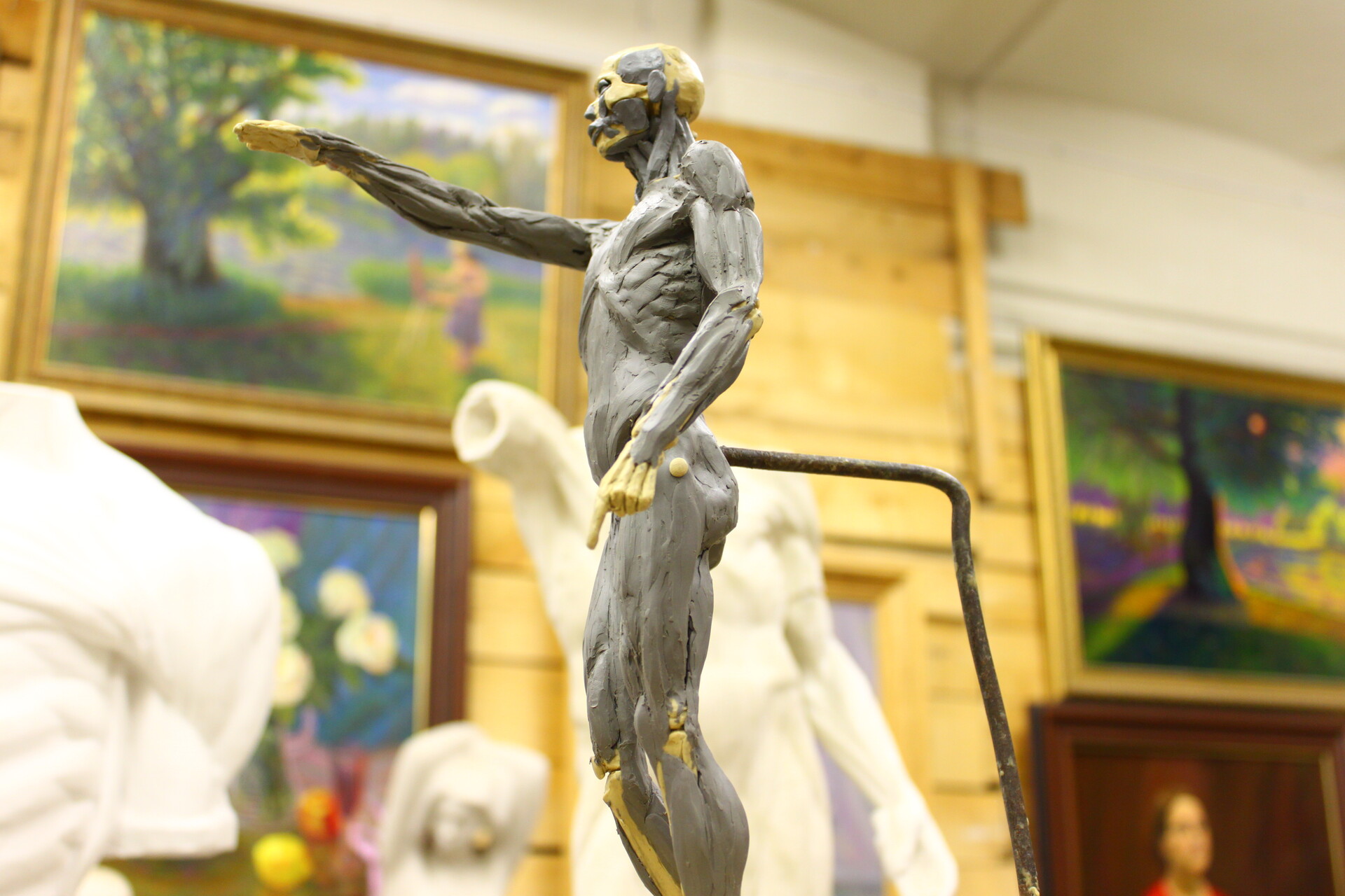 Ruslan Sokolov - Anatomy study. Part two: 50 shades of gray muscles