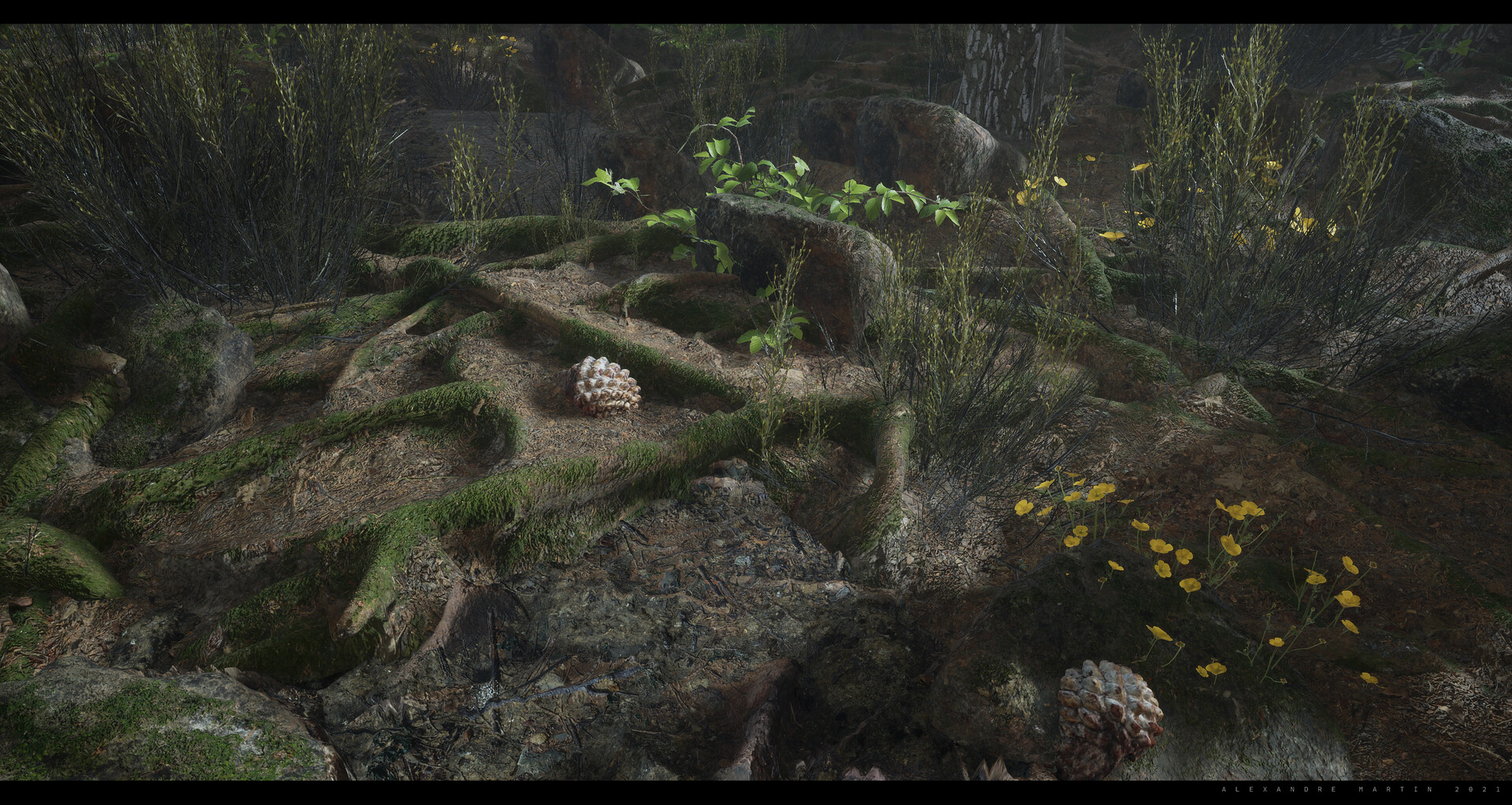 ArtStation - Forest map continued ... ///