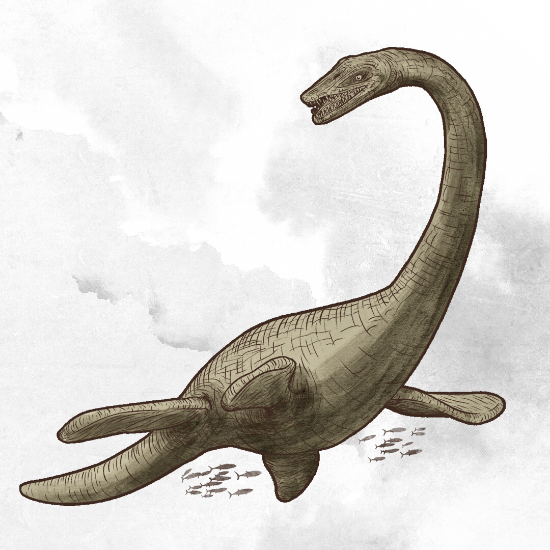 ArtStation - Elasmosaurus Sketch