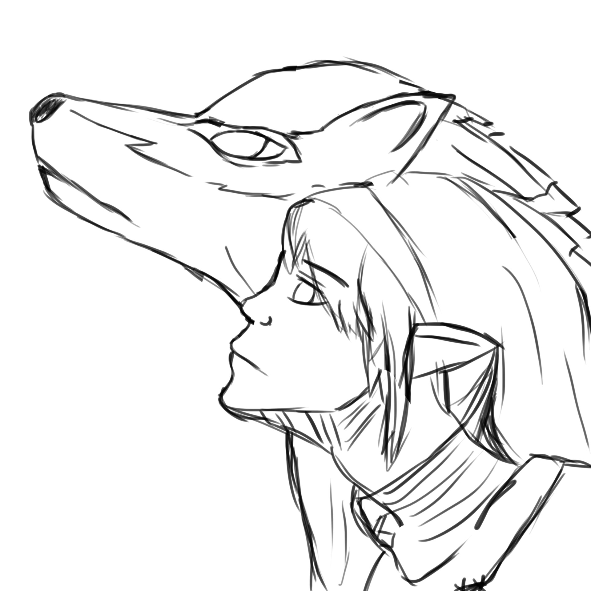 Twilight Princess Wolf Drawing