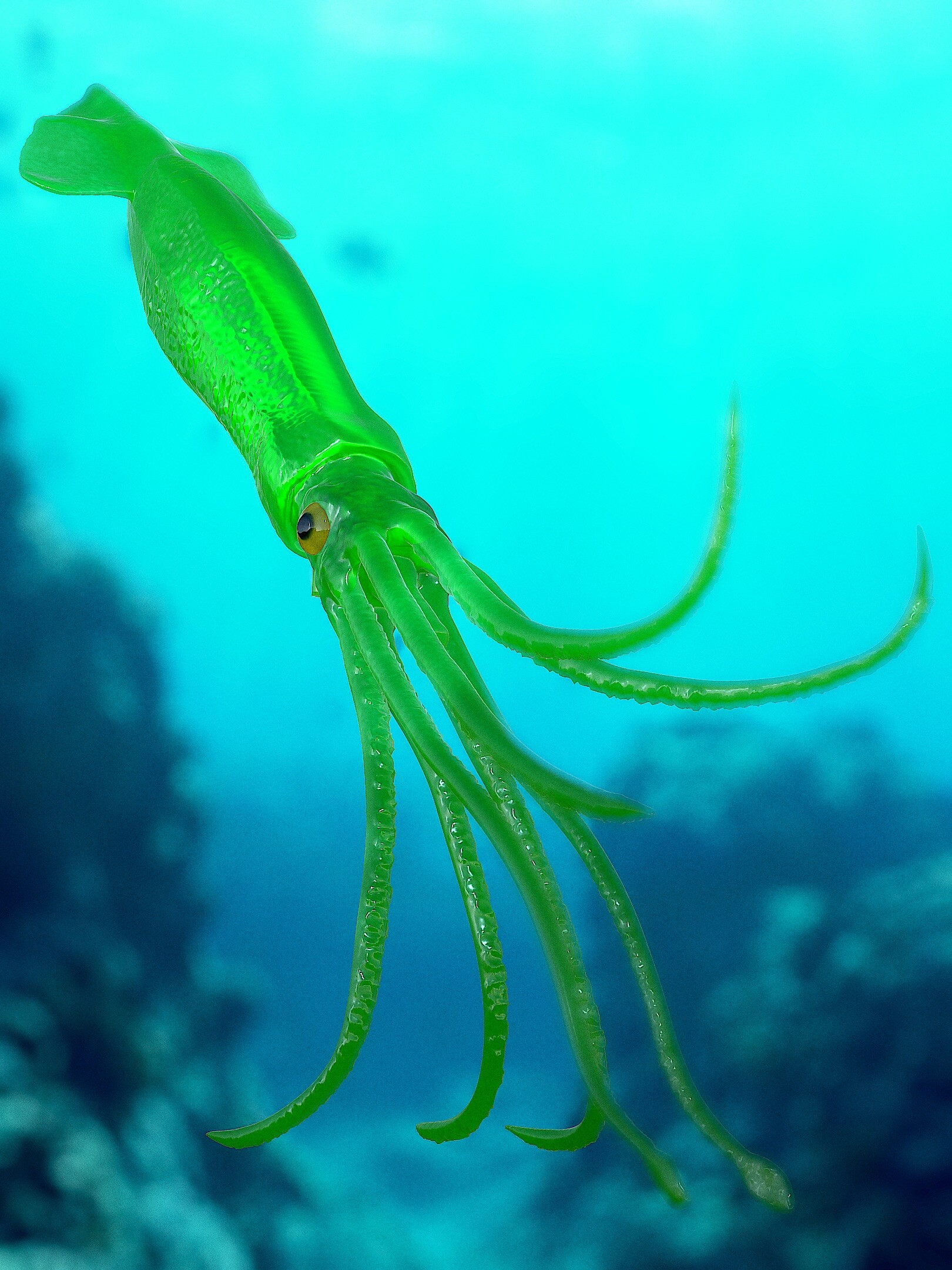 ArtStation - Okra squid