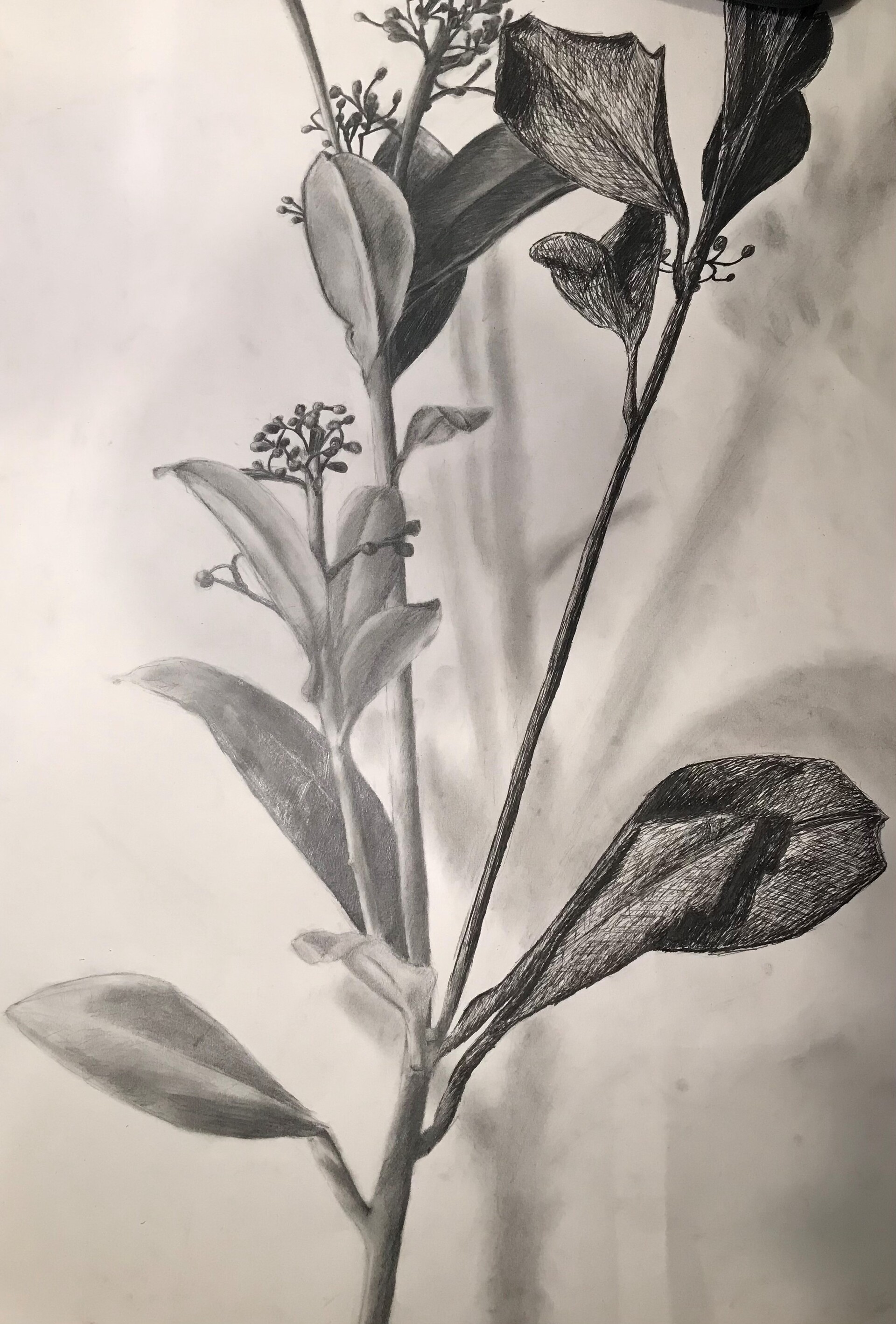 ArtStation - Contrast