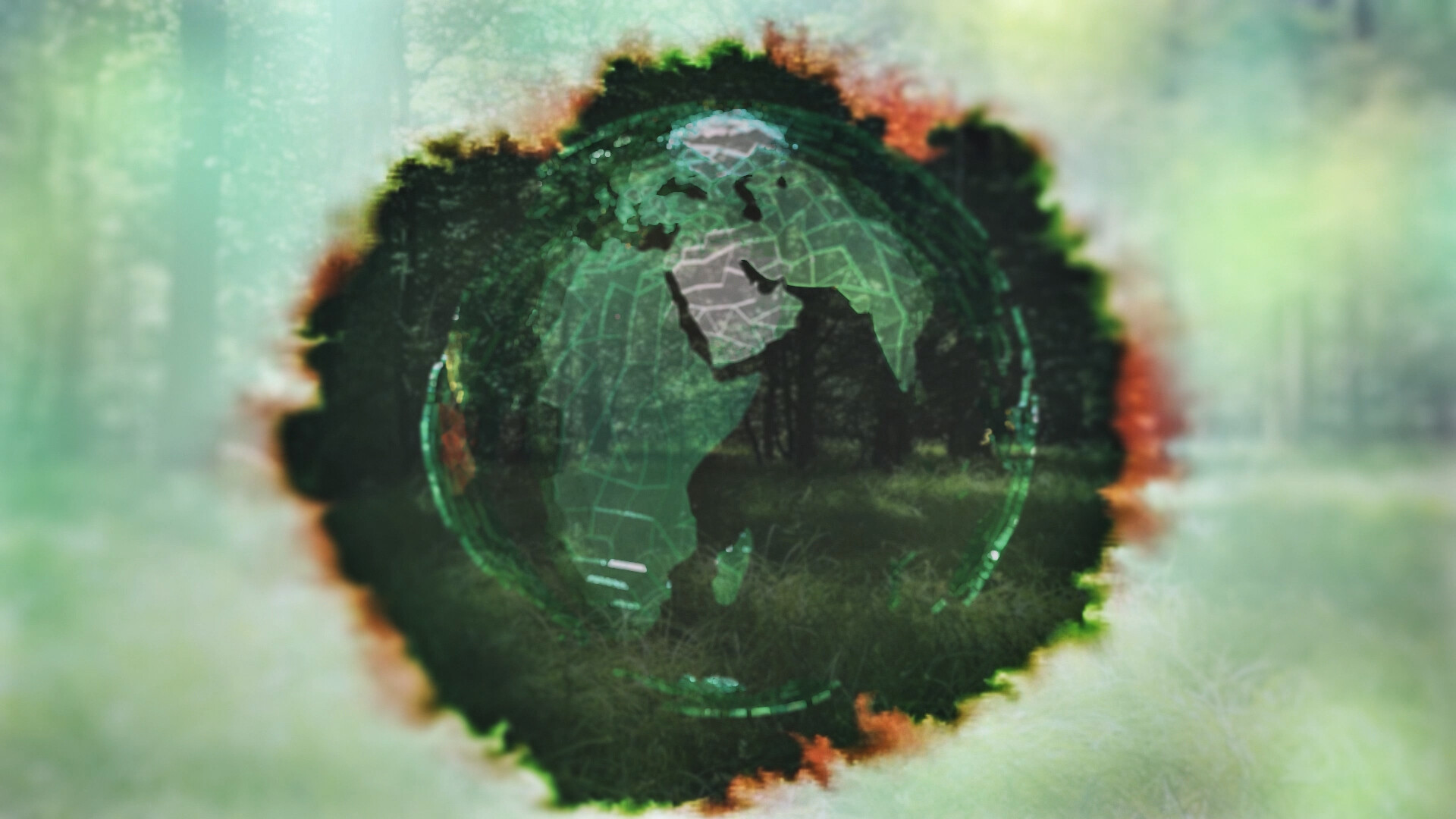 Gary Bird - OUR GREEN WORLD