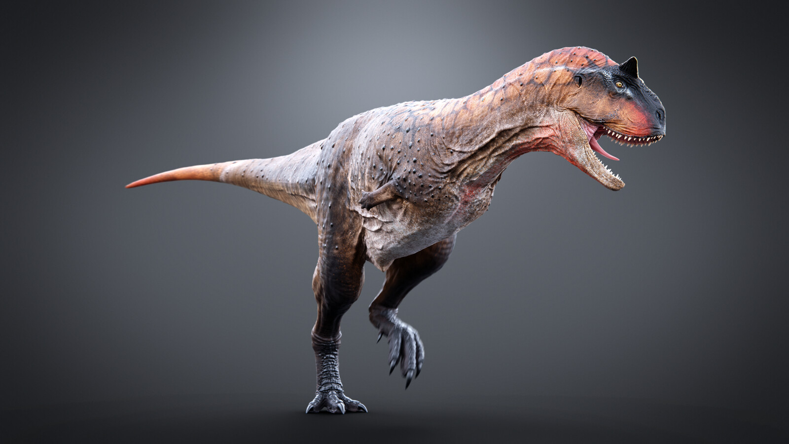 Oakyere - Carnotaurus