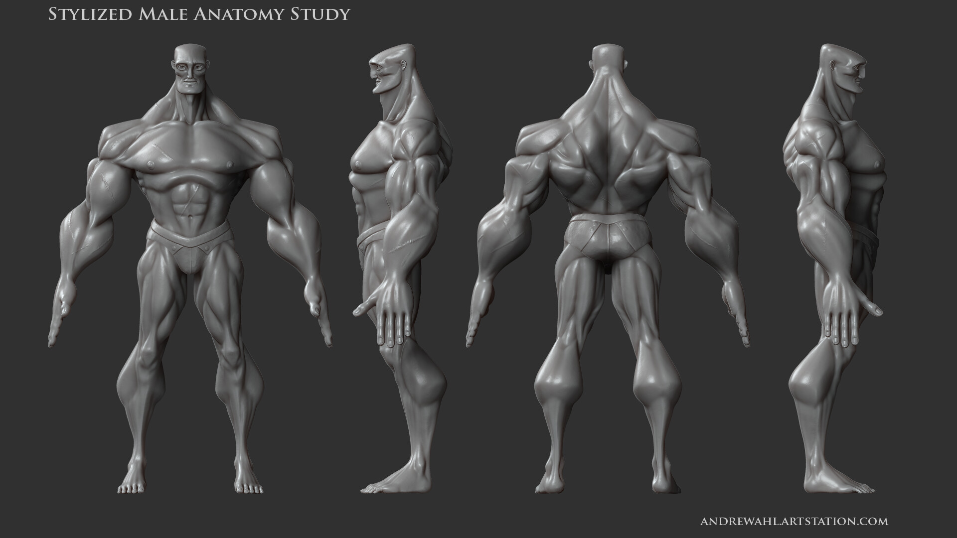 Andre Wahl - Stylized Male Anatomy Study