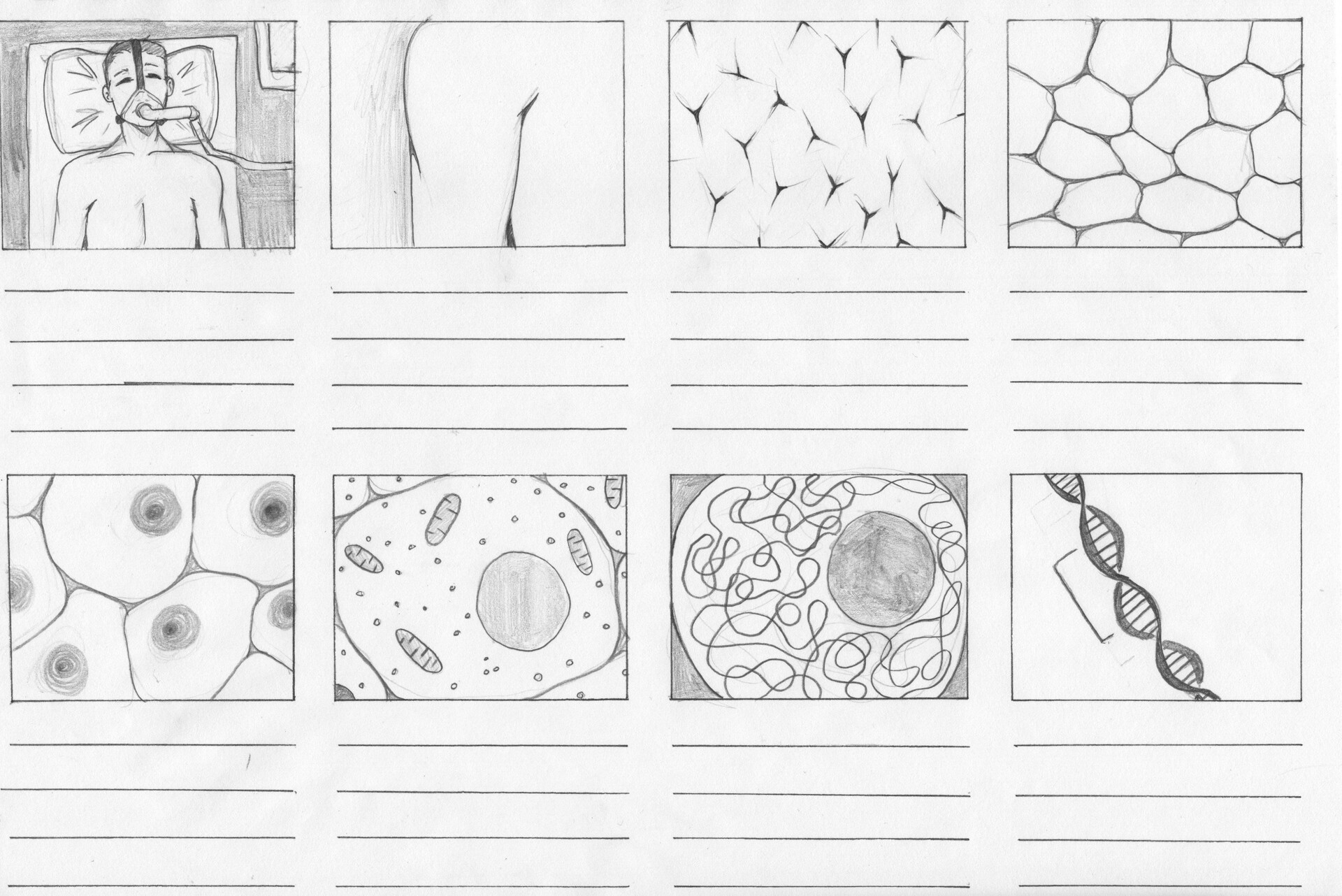 Taran Taylor - Genetic Modification Animation Storyboard