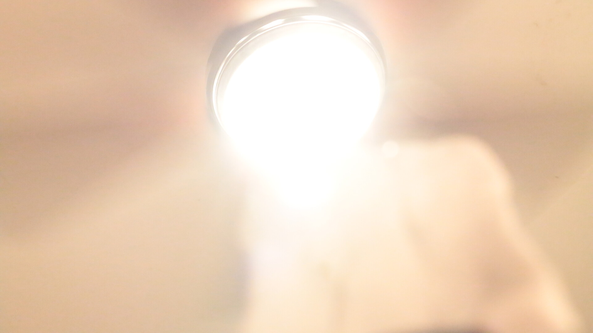 Mark Tan - The Passion of Crust - Stopmotion Short