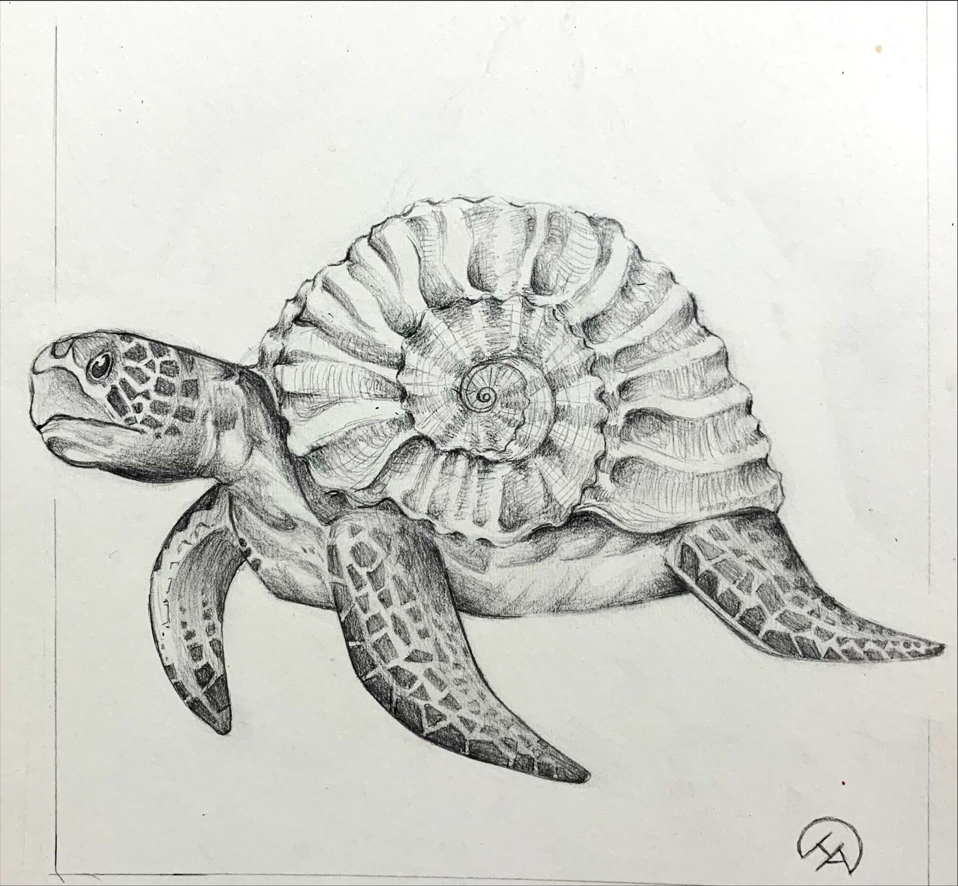 ArtStation - Turtle in it’s shell