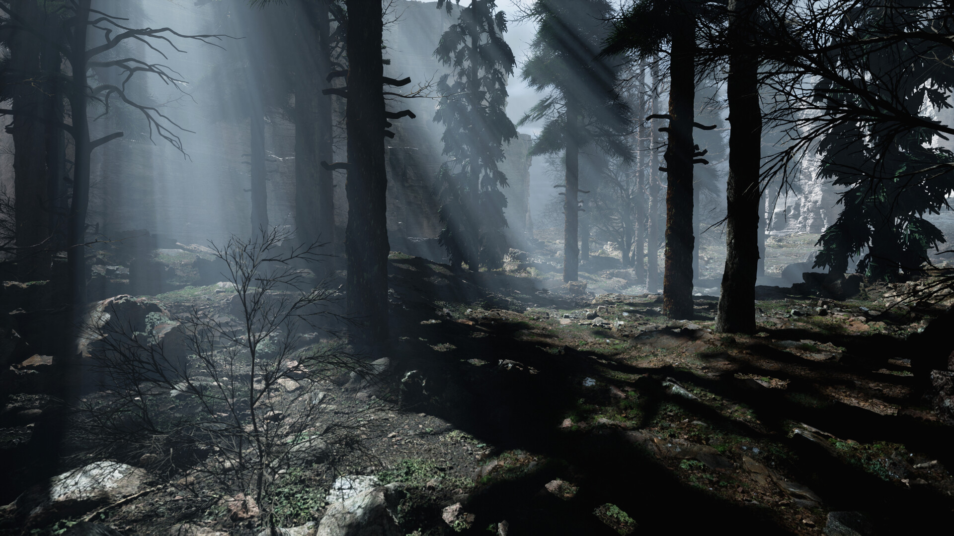 ArtStation - Forest Trail 2