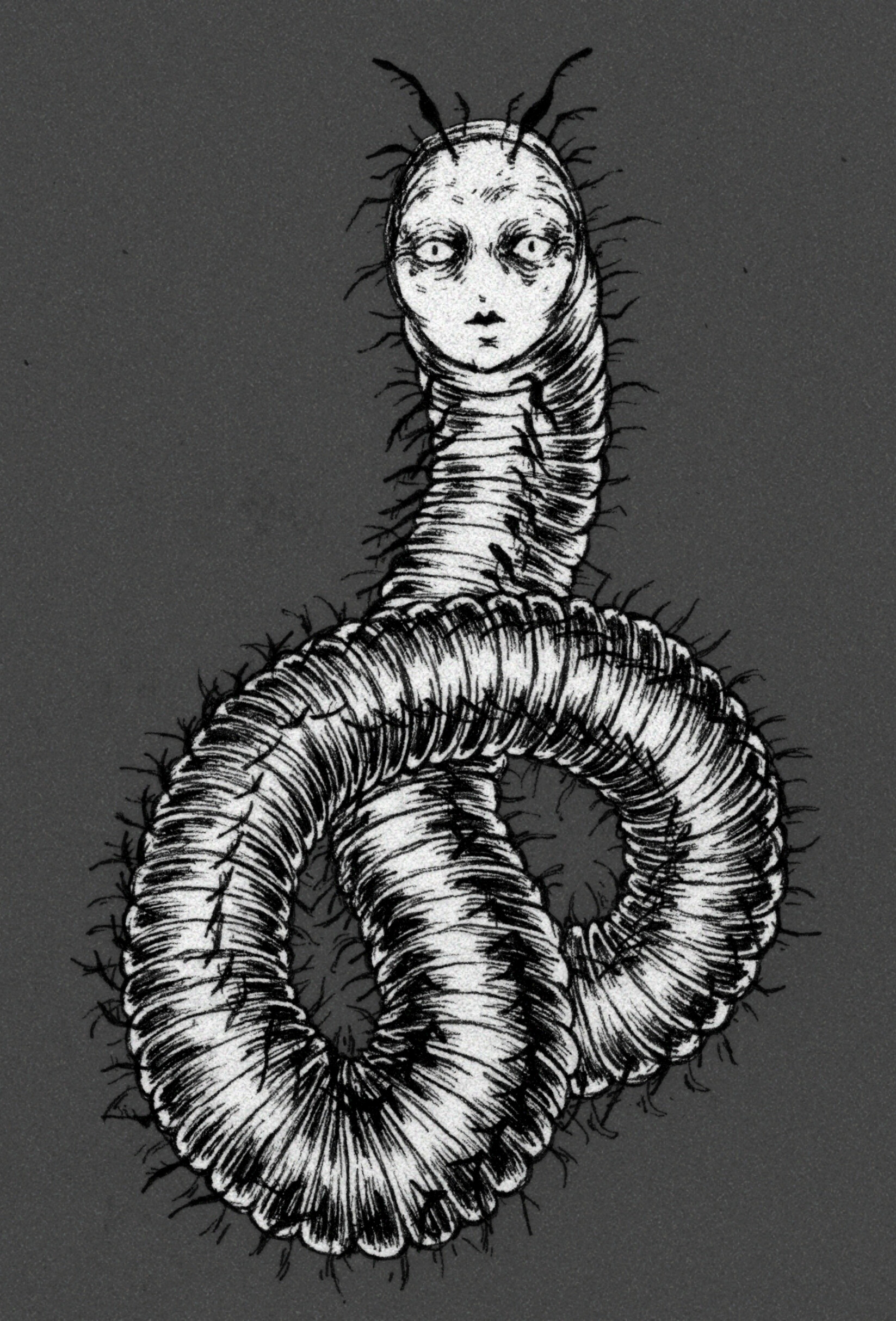 ArtStation - centipede