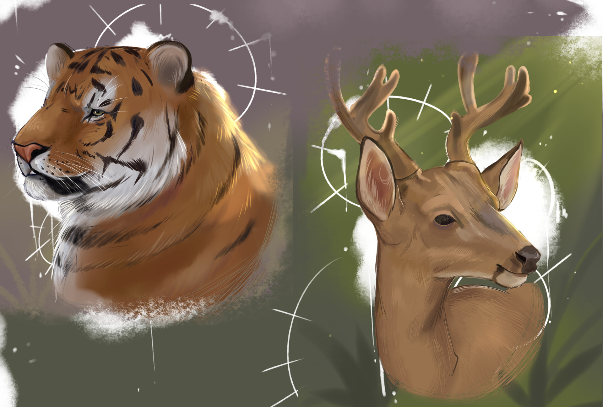 ArtStation - the wild