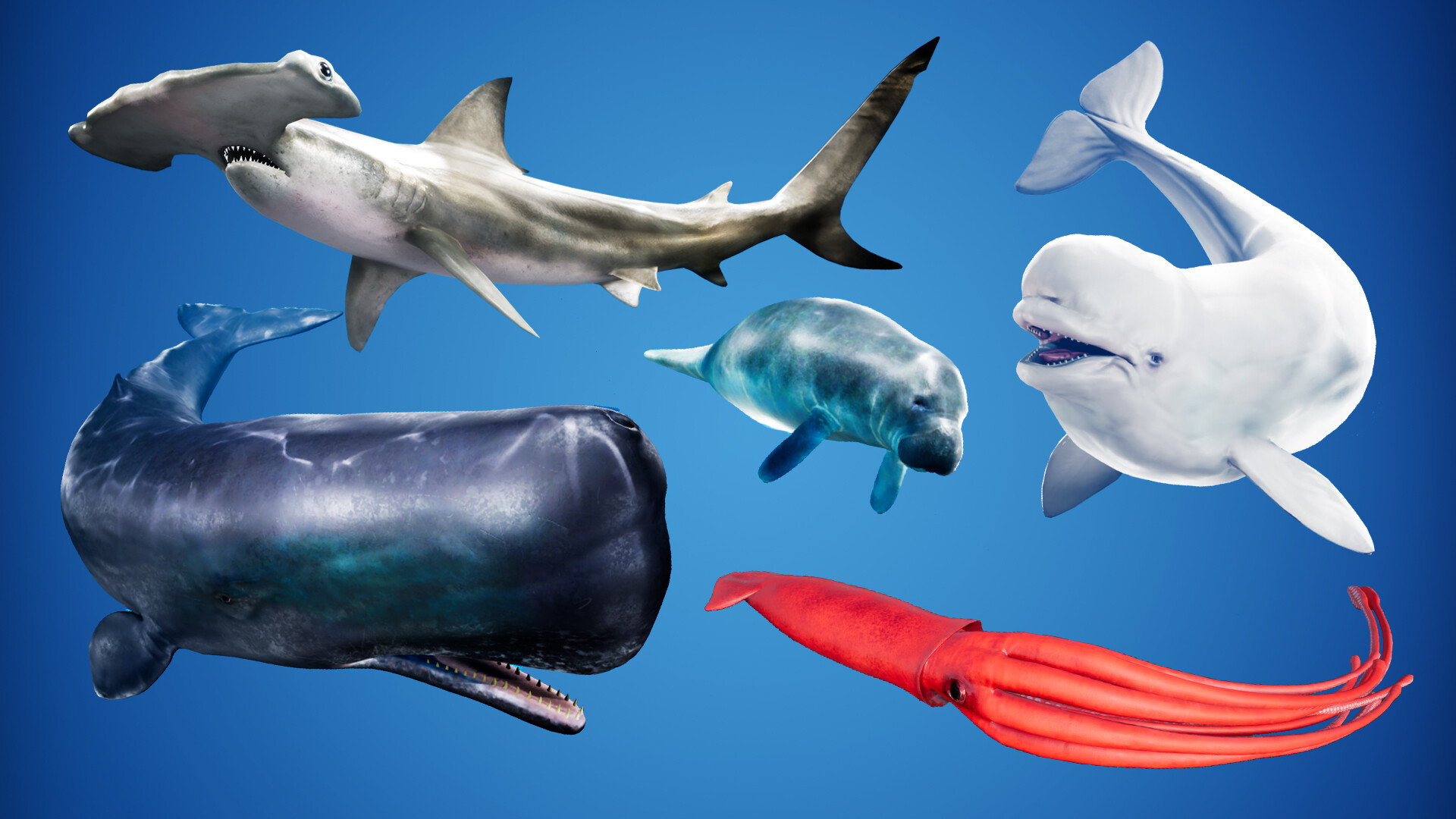 ArtStation - Ocean Animals Pack 3