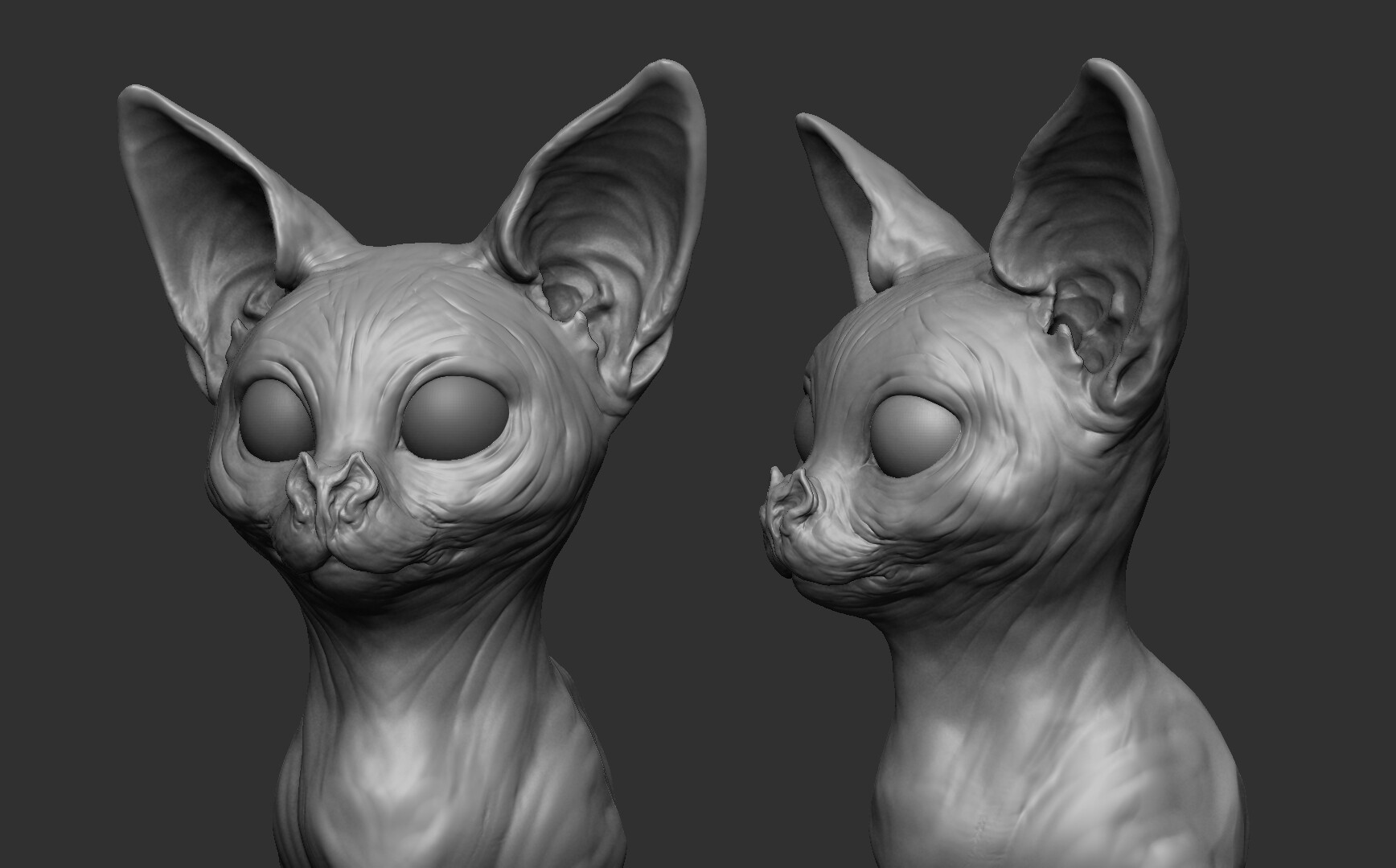 ArtStation - Cat Bat Portrait WIP03
