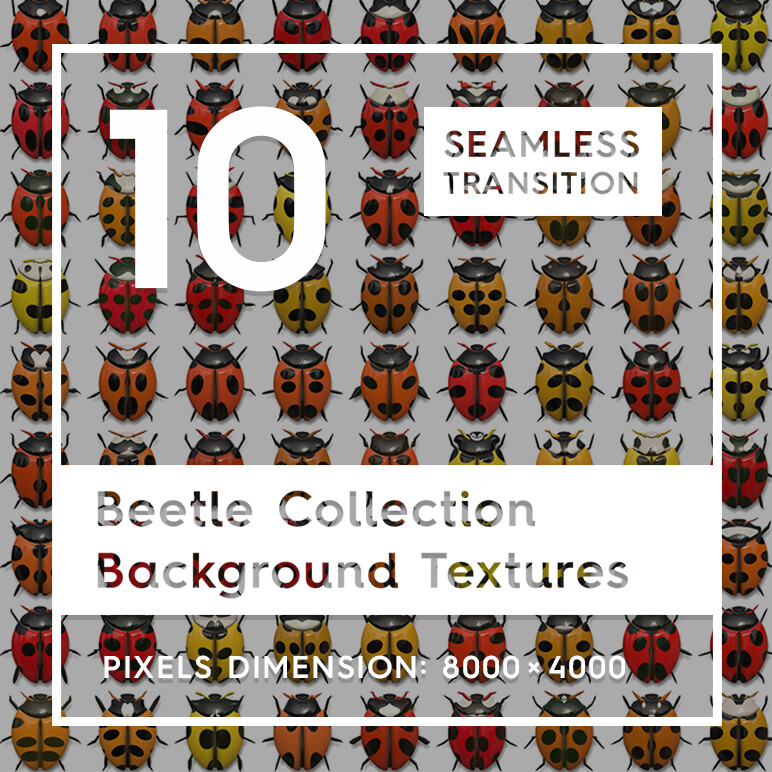 ArtStation - 10 Beetle Collection Background Textures