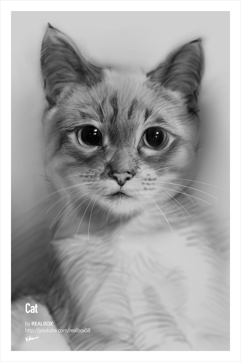 ArtStation - cat