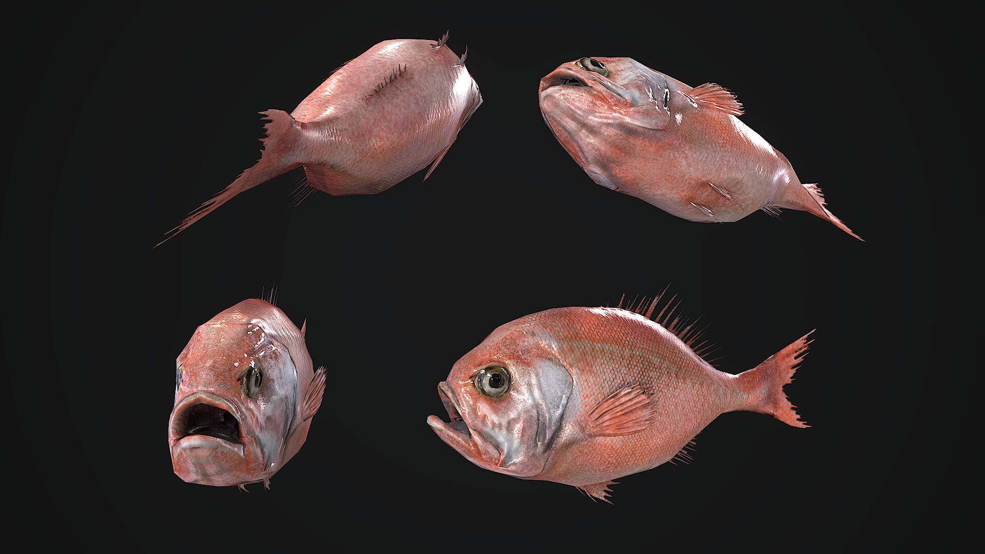 matt isaac - Rust Fish