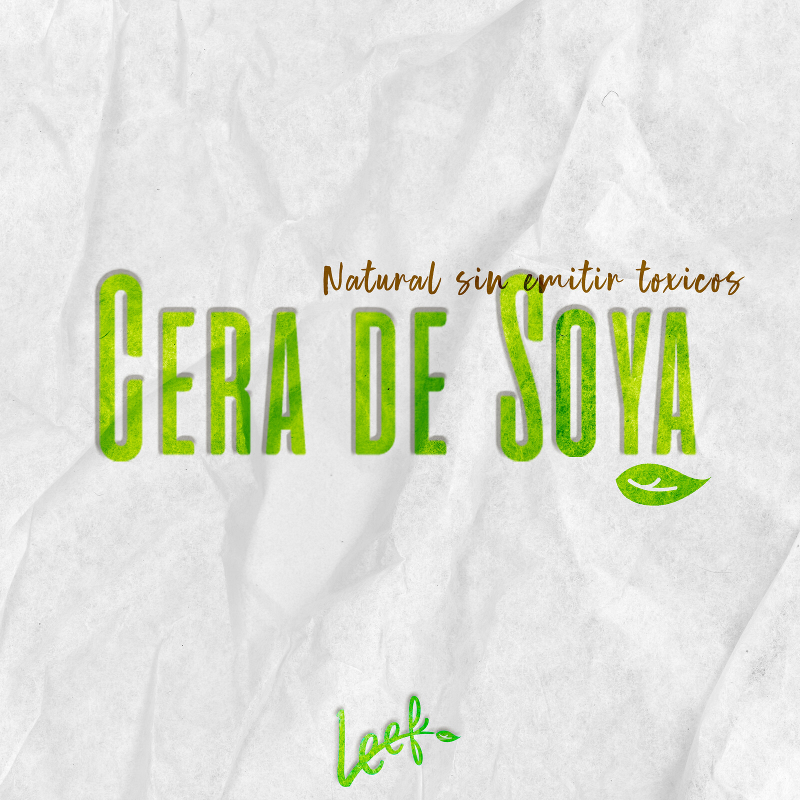 Frida Carrillo - LEEF