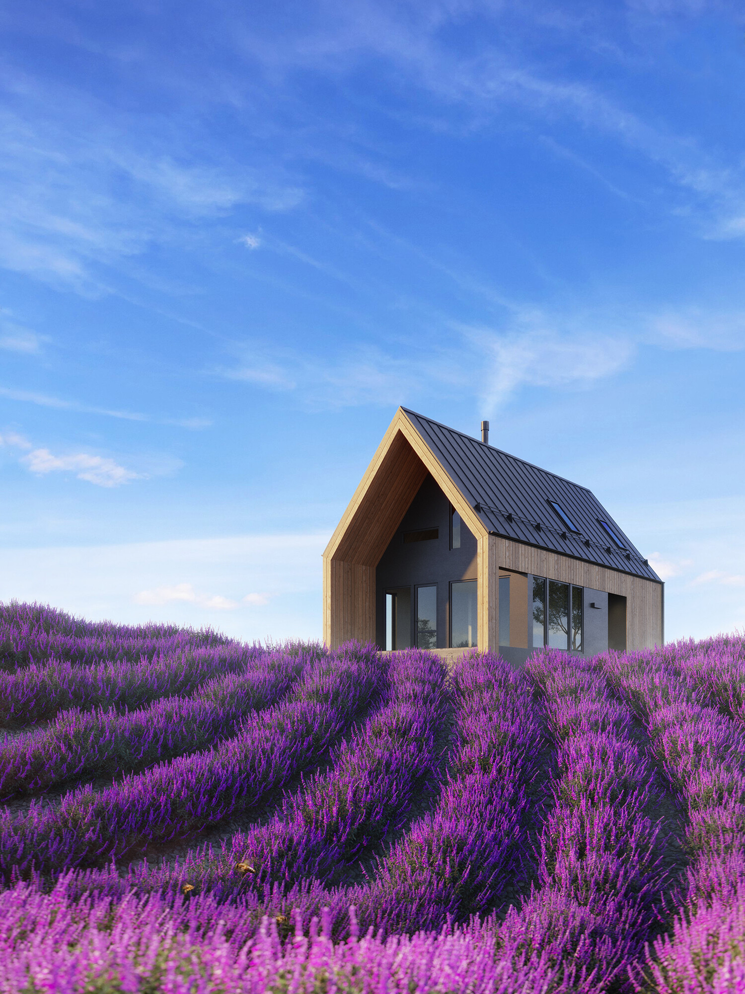 ArtStation - Lavender Field House