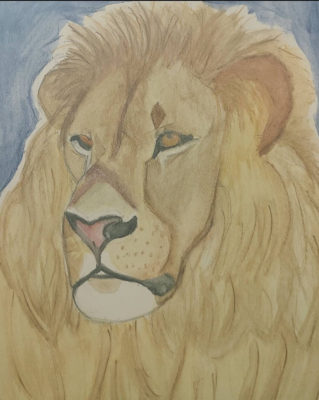 ArtStation - Watercolor Pencil Painting of a Lion