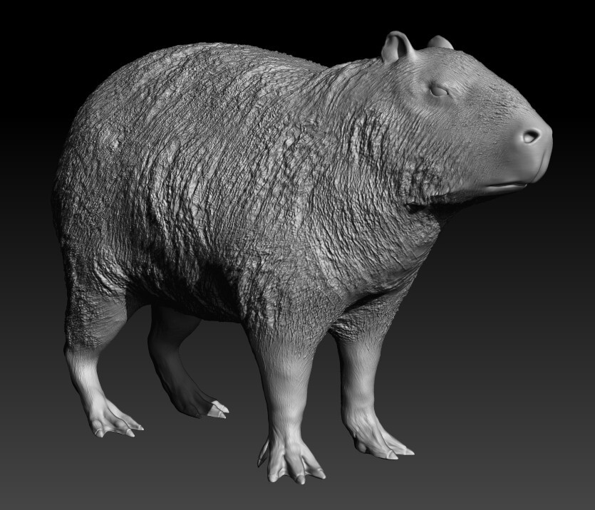 ArtStation - Capybara