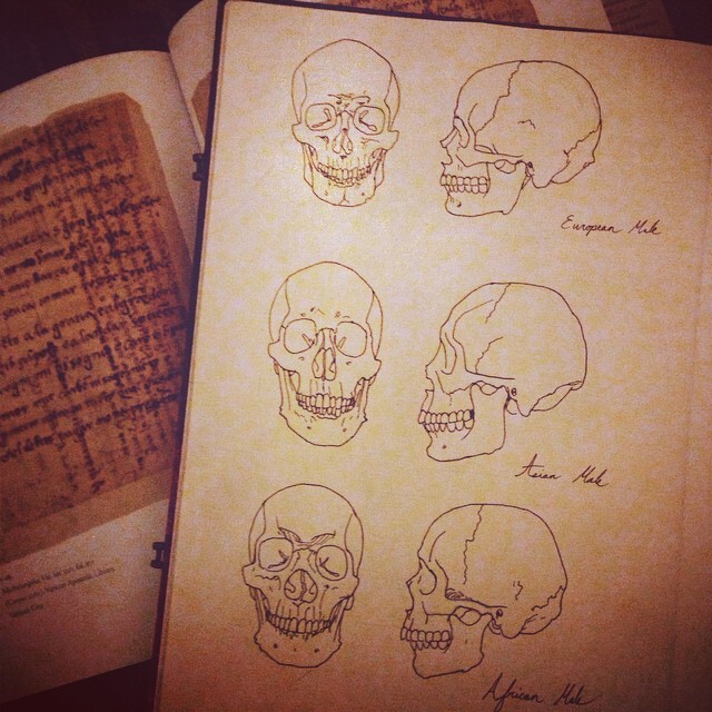 Jonathan Sabella - Anatomy Sketchbook and Medical Art